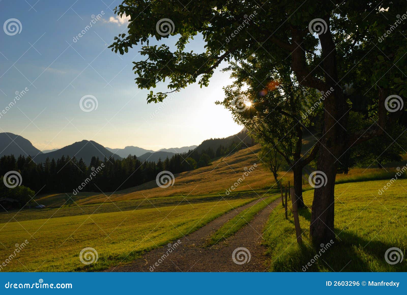Evening in the alps stock photo. Image of meadow, natural - 2603296