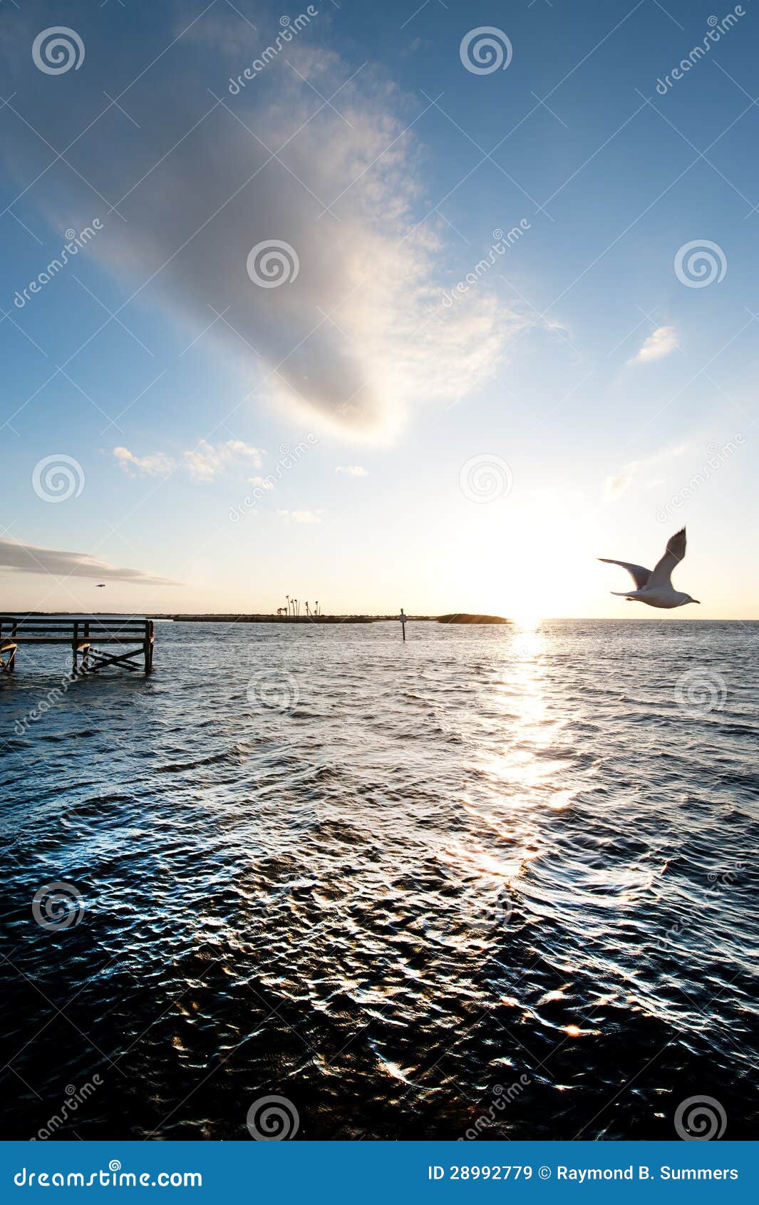 Evening in Bayport, Florida Stock Image - Image of environment, ocean ...