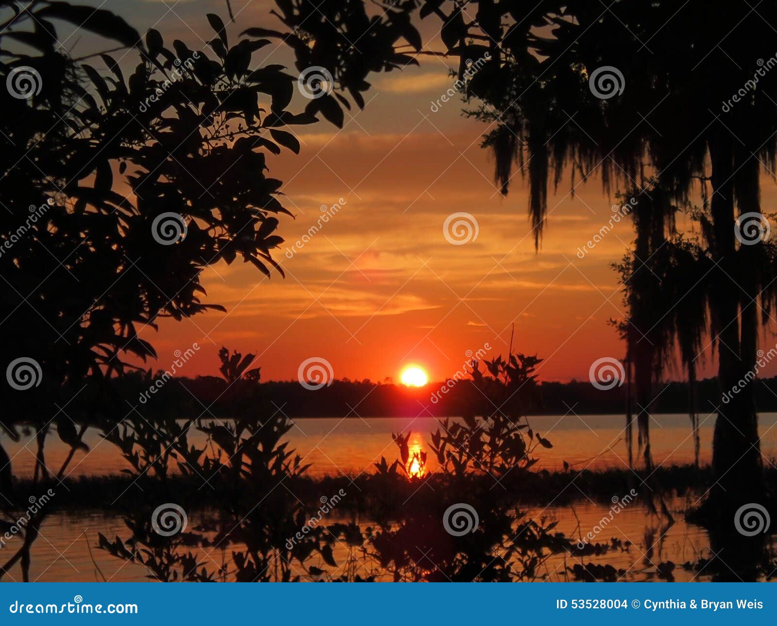 Evening Bliss stock photo. Image of bliss, lake, evening - 53528004
