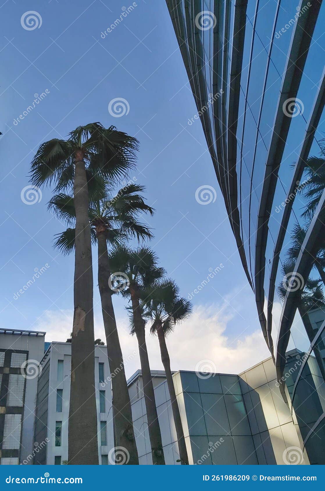 Evening Breeze Blowing through the Trees in the Office Building Stock ...
