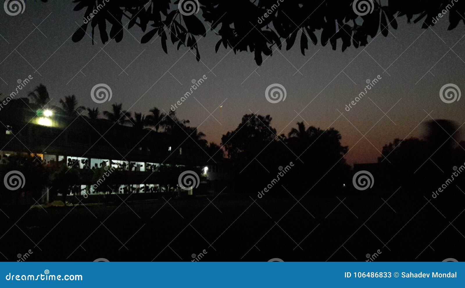 Evening stock image. Image of tree, evening, ground - 106486833