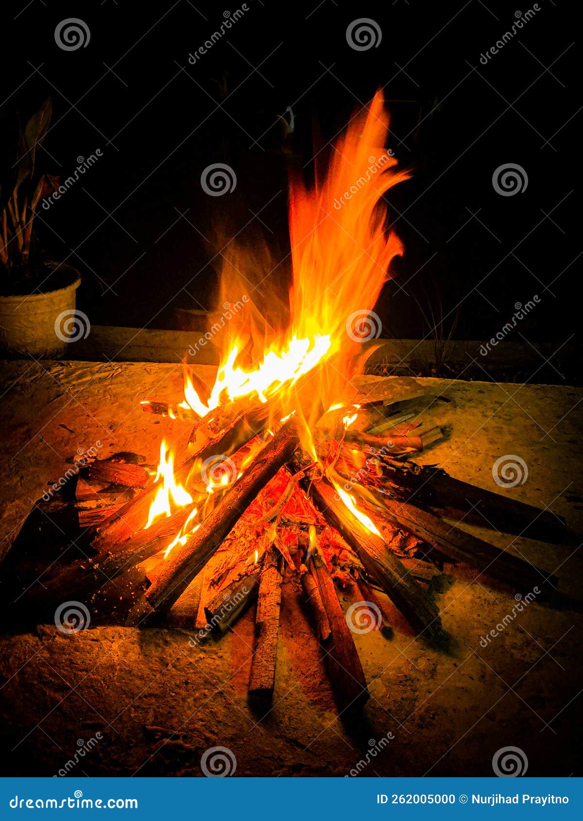 Evening Campfire Family Night Stock Photo - Image of night, evening ...