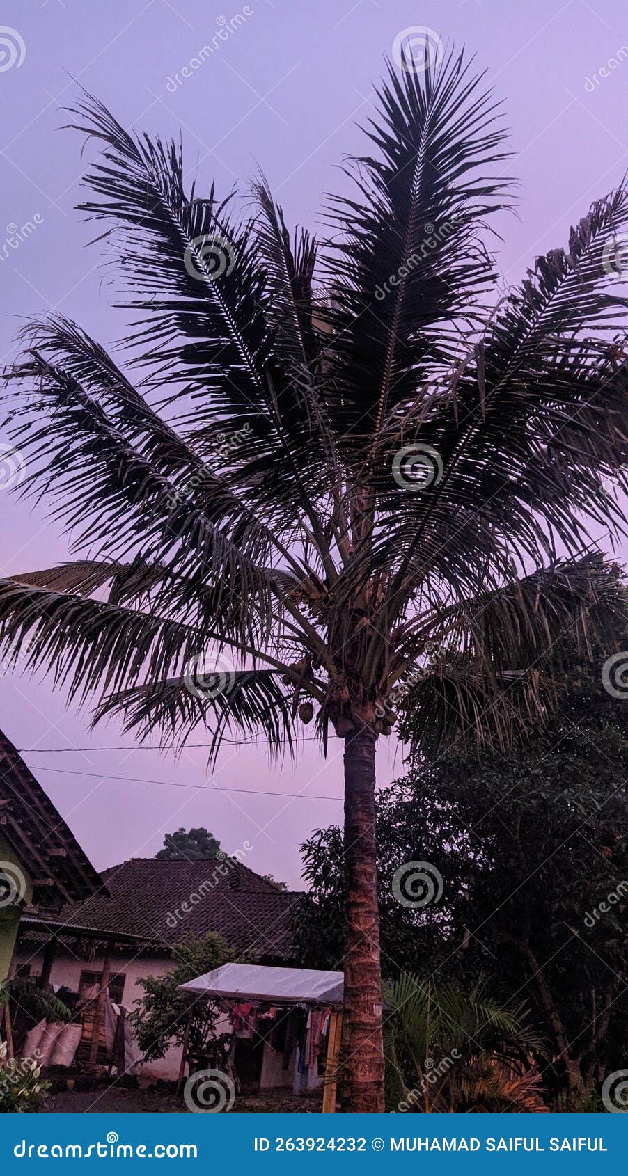 The Evening is when the Elegant Scenery Emerges Stock Photo - Image of ...