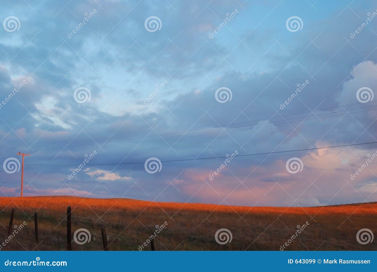 Evening field stock image. Image of evening, glowing, sunset - 643099