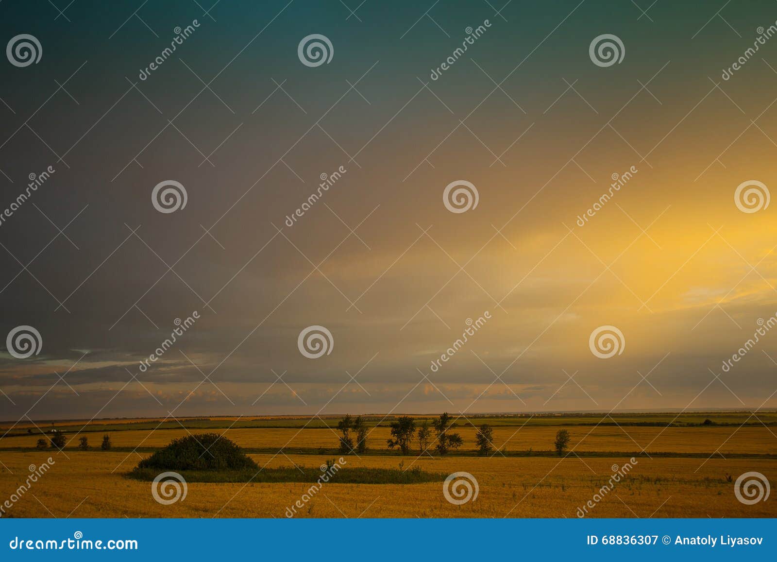 Evening in the field stock image. Image of field, blue - 68836307