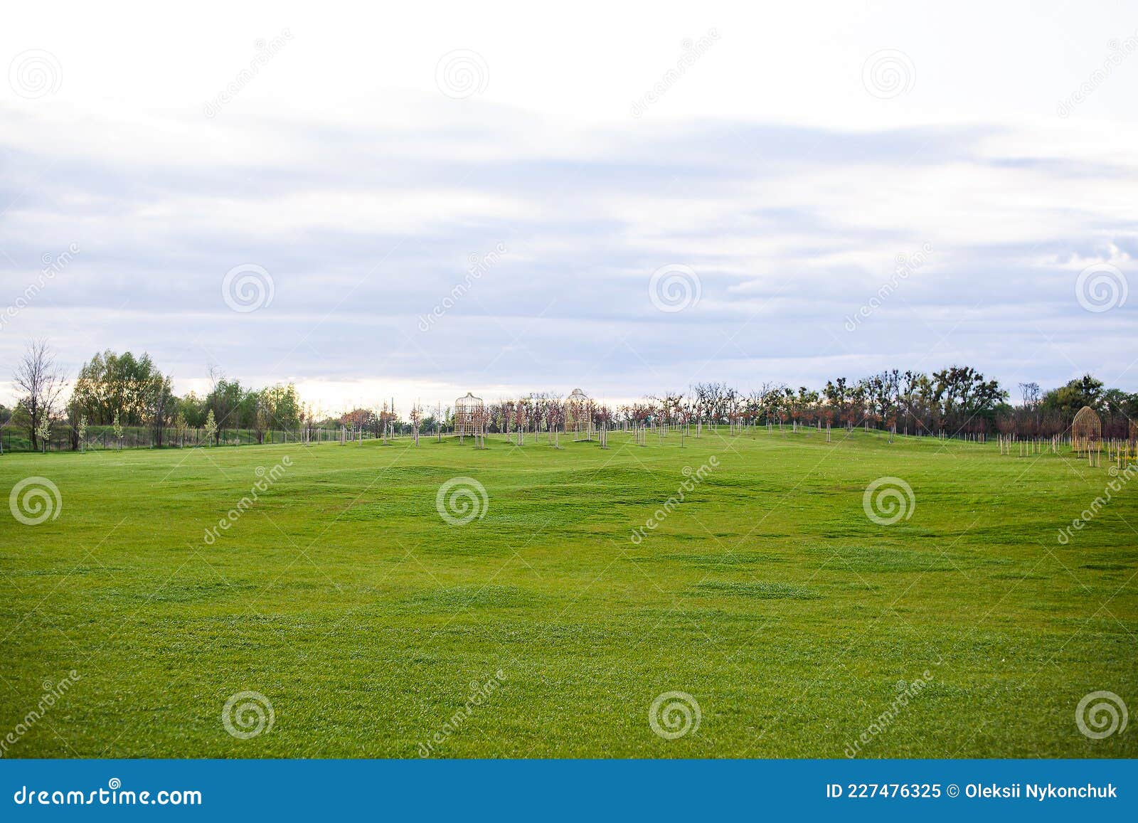 Evening Field with Green Grass and Trees in the Distance Stock Image ...
