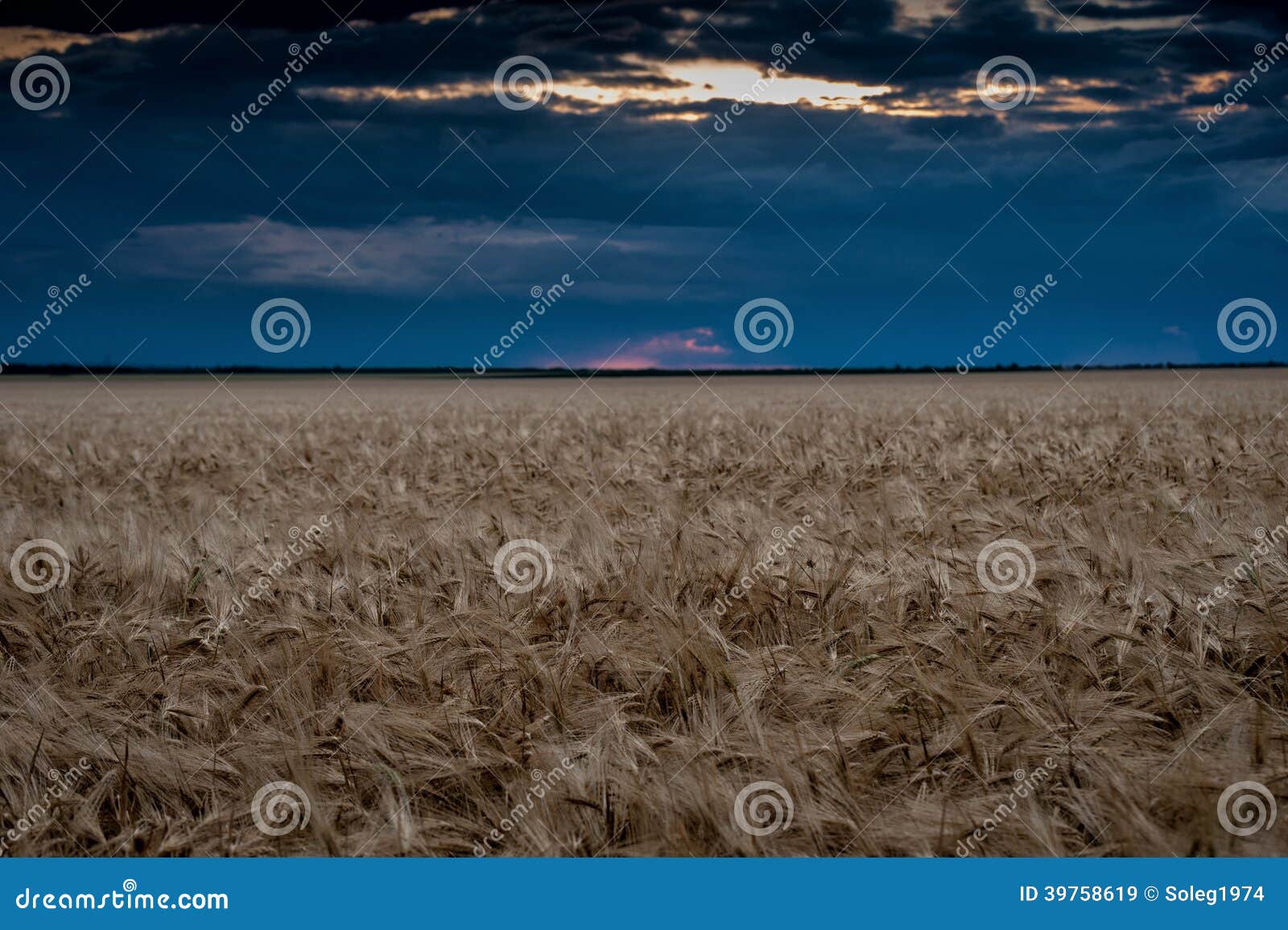 Evening Field and Sky Landscape Stock Image - Image of natural ...