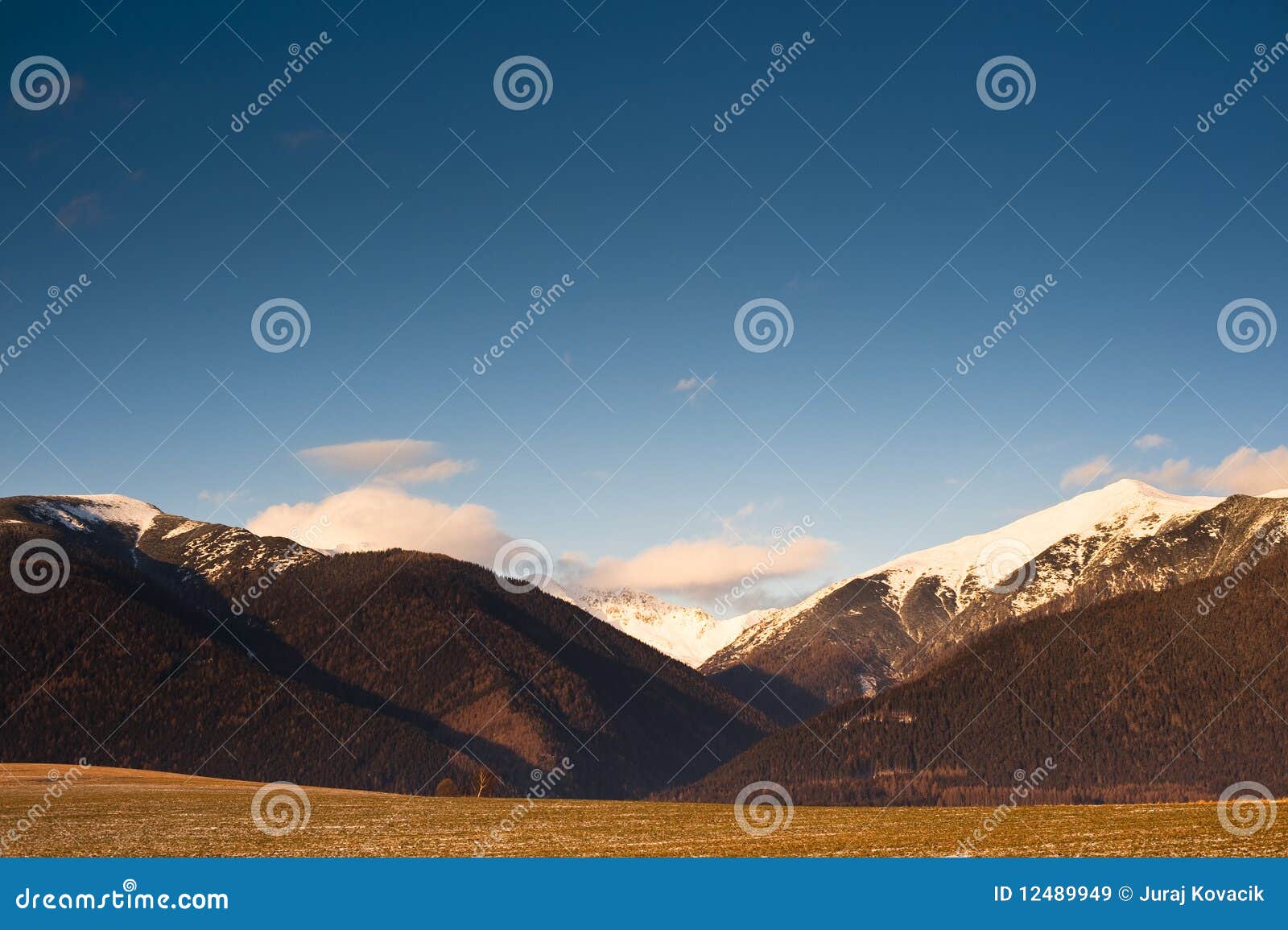 Evening on fields stock image. Image of winter, blue - 12489949