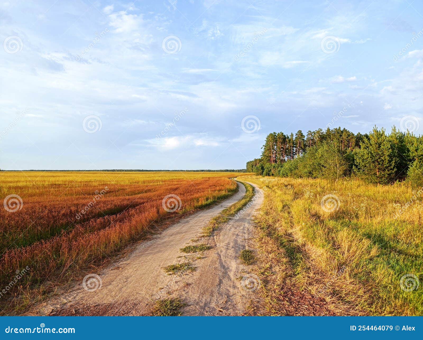 Evening fields of Russia stock image. Image of field - 254464079