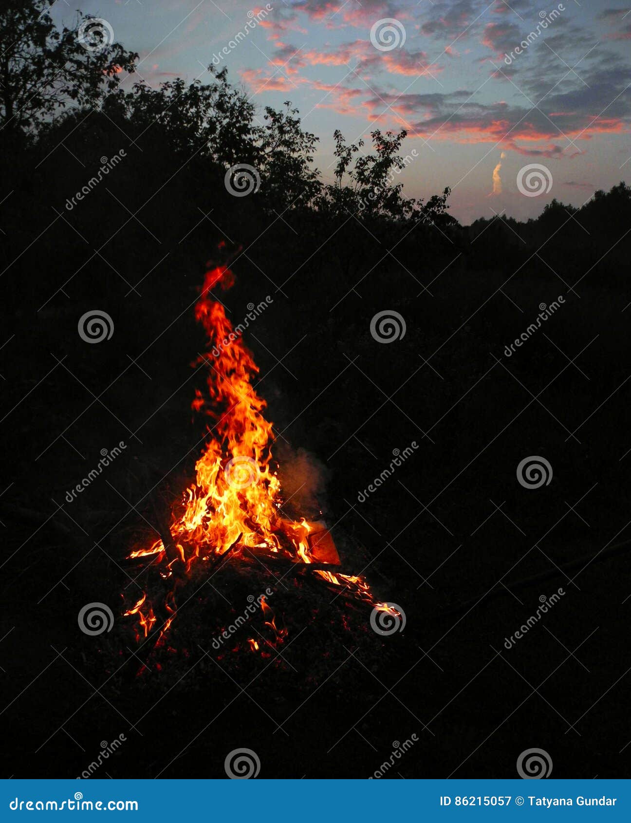 Evening fire. stock image. Image of burning, sunset, bright - 86215057