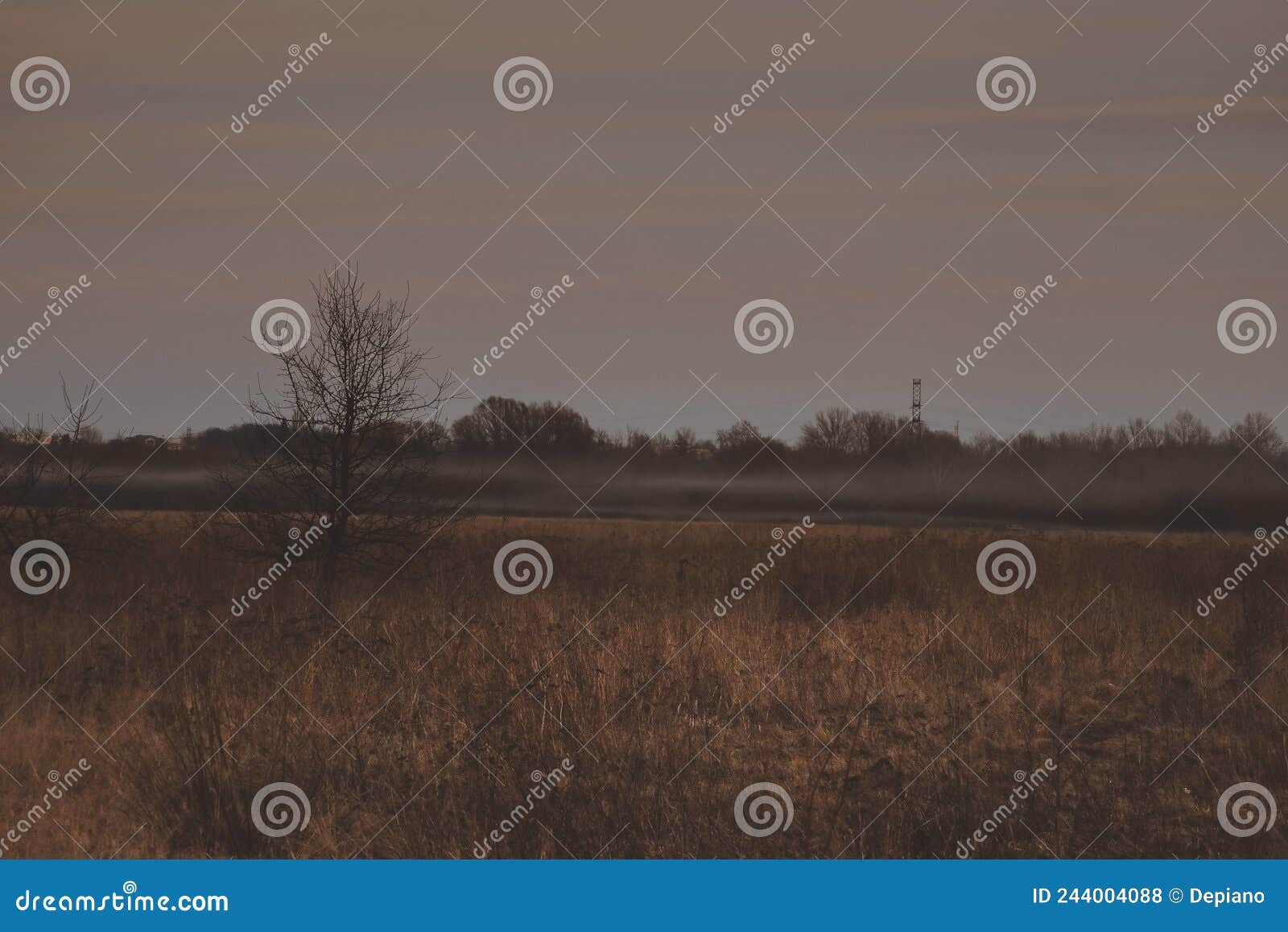 Evening Fog in the Fields. Twilight in Spring Stock Photo - Image of ...