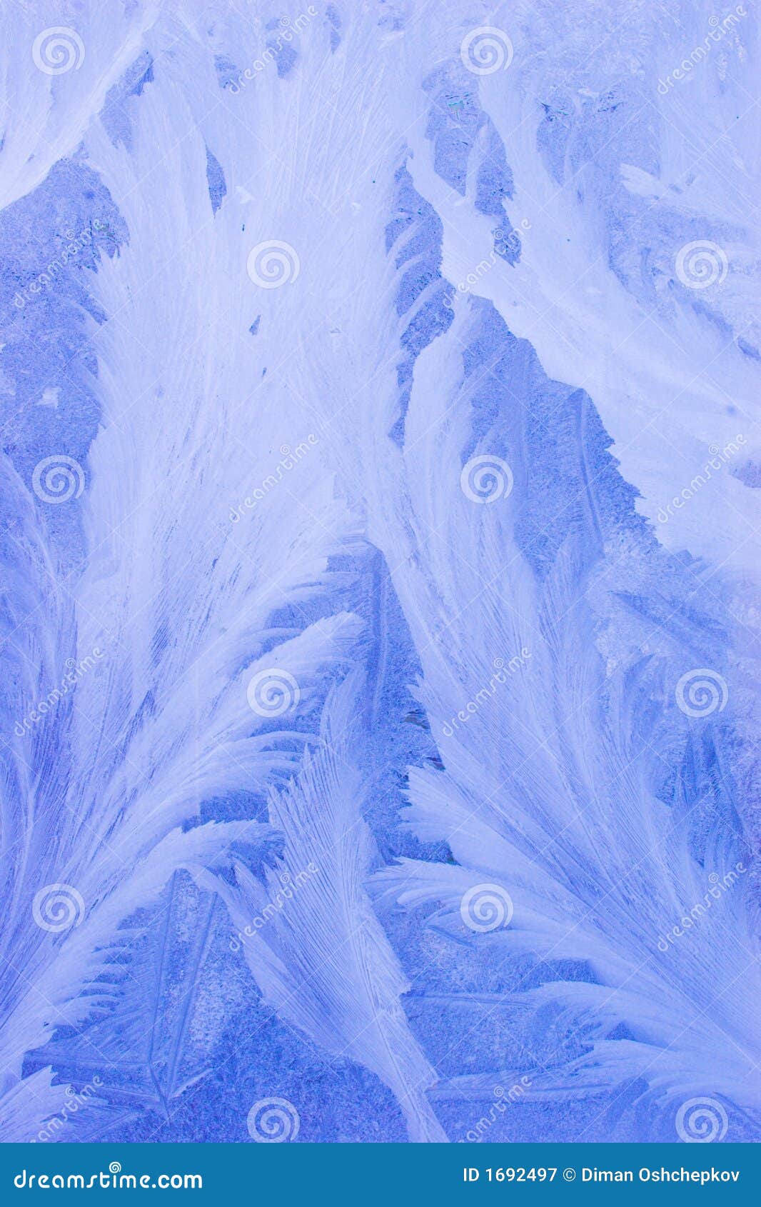 Evening frost pattern stock image. Image of frozen, abstract - 1692497