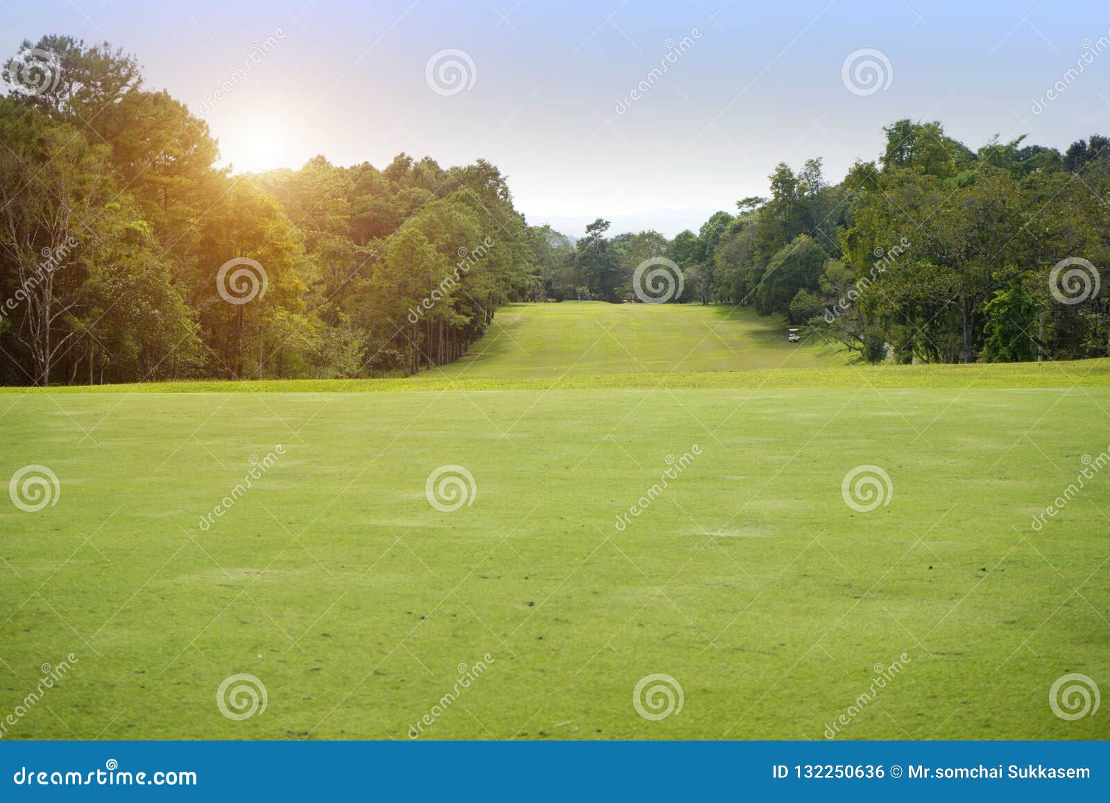 The Evening Golf Course Has Sunlight Shining Down at Golf Course Stock ...