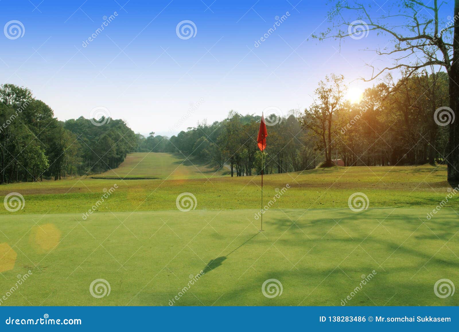 The Evening Golf Course Has Sunlight Shining Down at Golf Course in ...