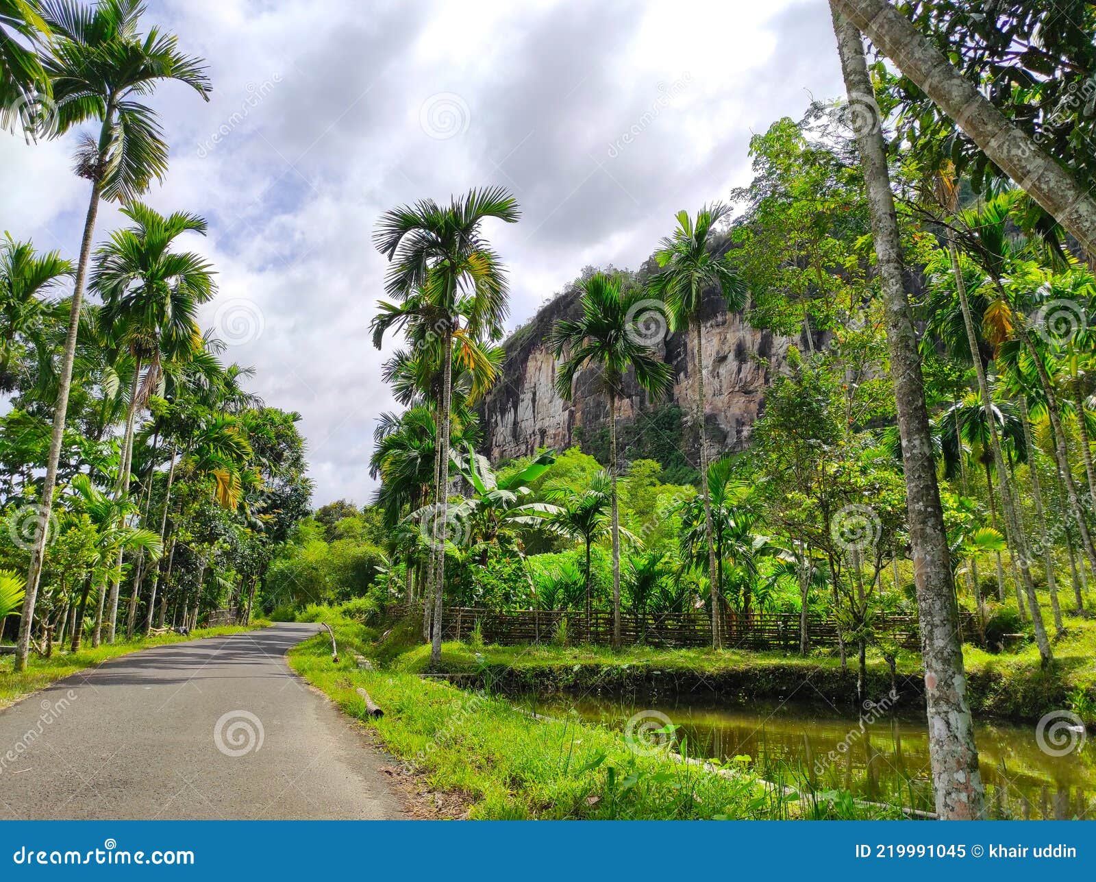 Evening Greenery in a Village Stock Image - Image of greenery, plant ...