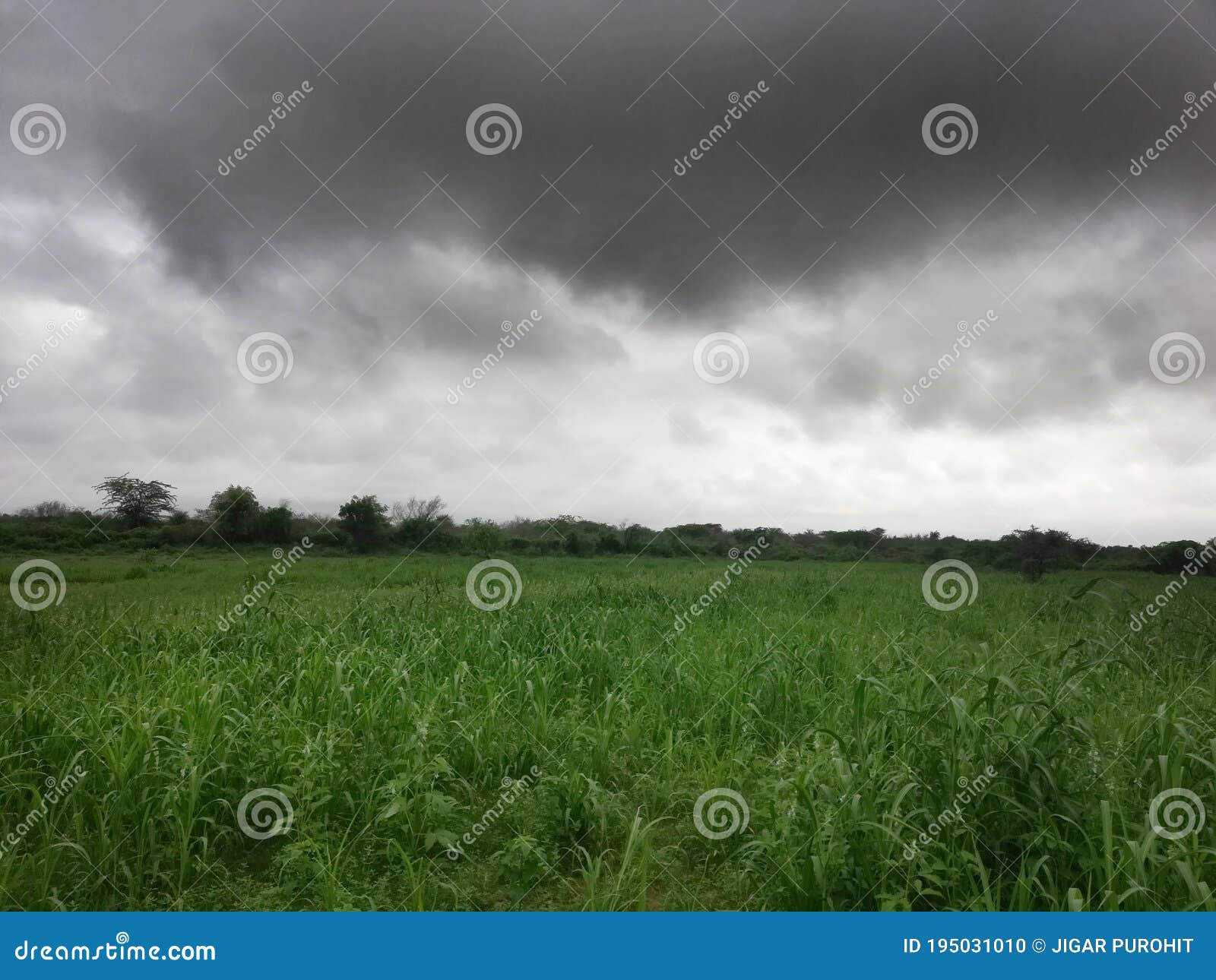 Evening in the Ground Field with Dark Sky Stock Photo - Image of soil ...