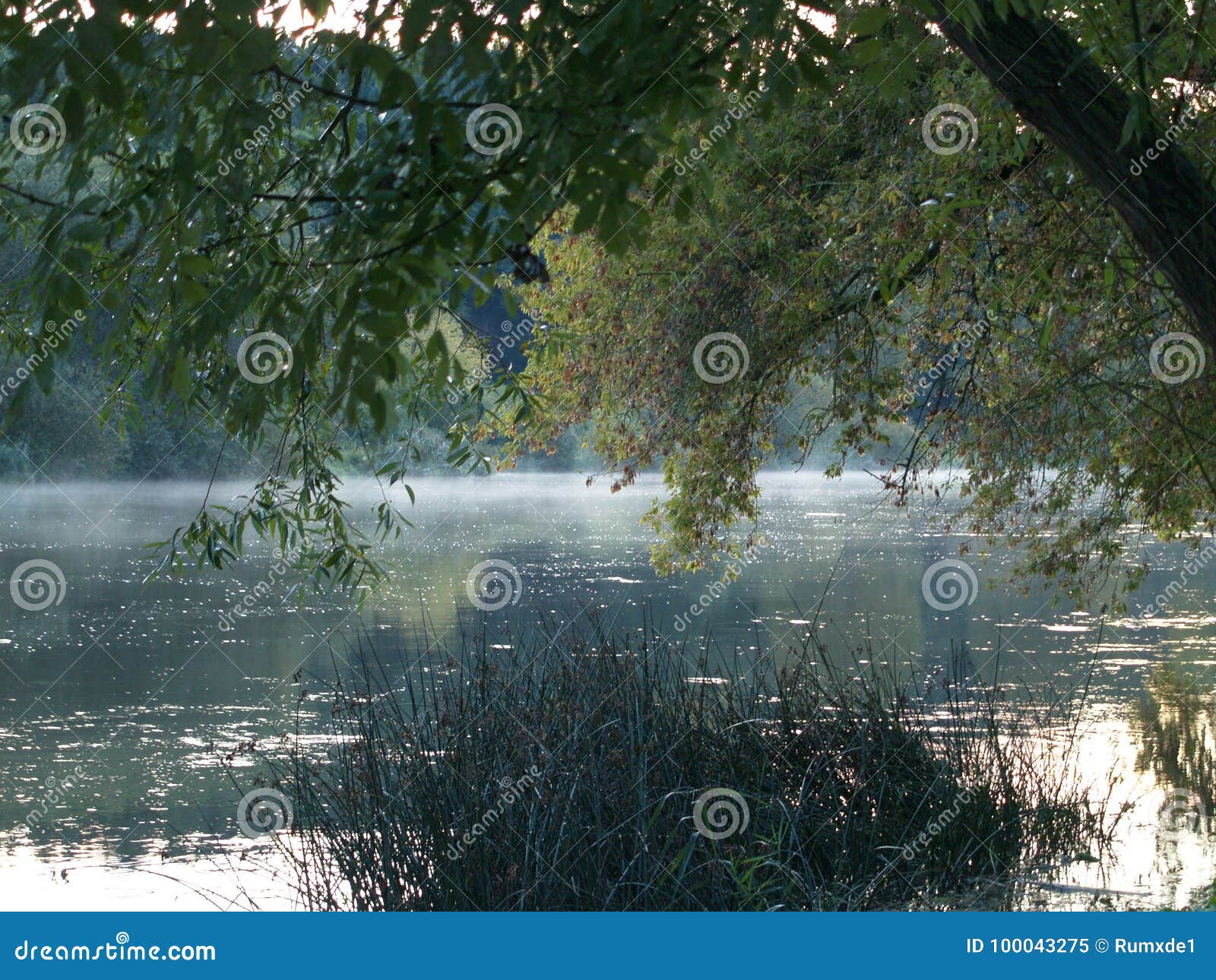 Evening haze stock image. Image of visibility, dangerous - 100043275