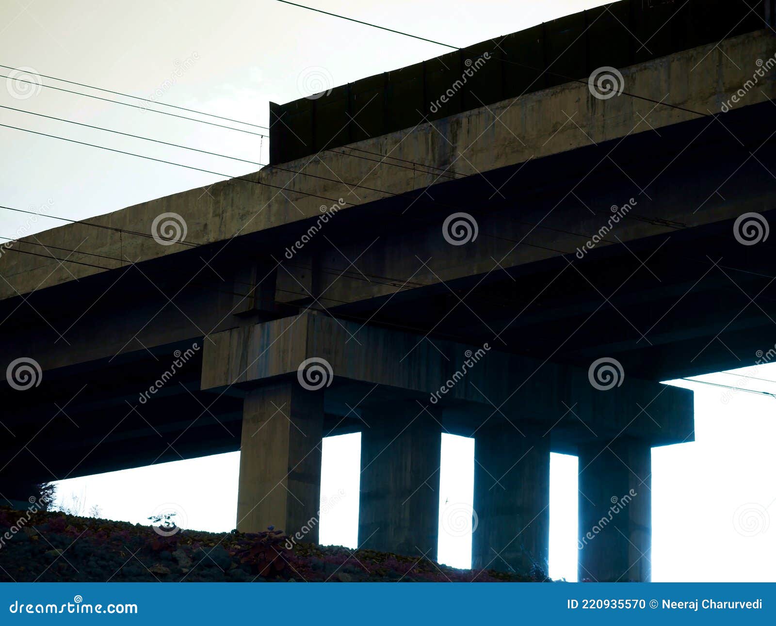 The Cemented Bridge Connects The Path To The Lake In The Middle Of The ...