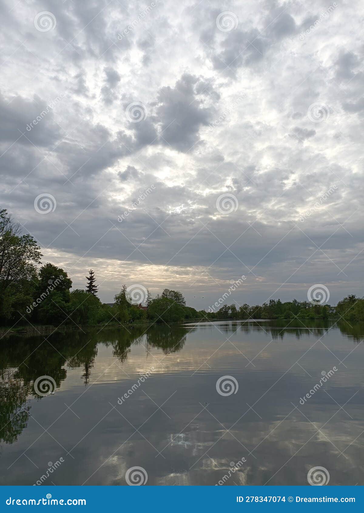 Evening at lake stock photo. Image of tree, water, evening - 278347074