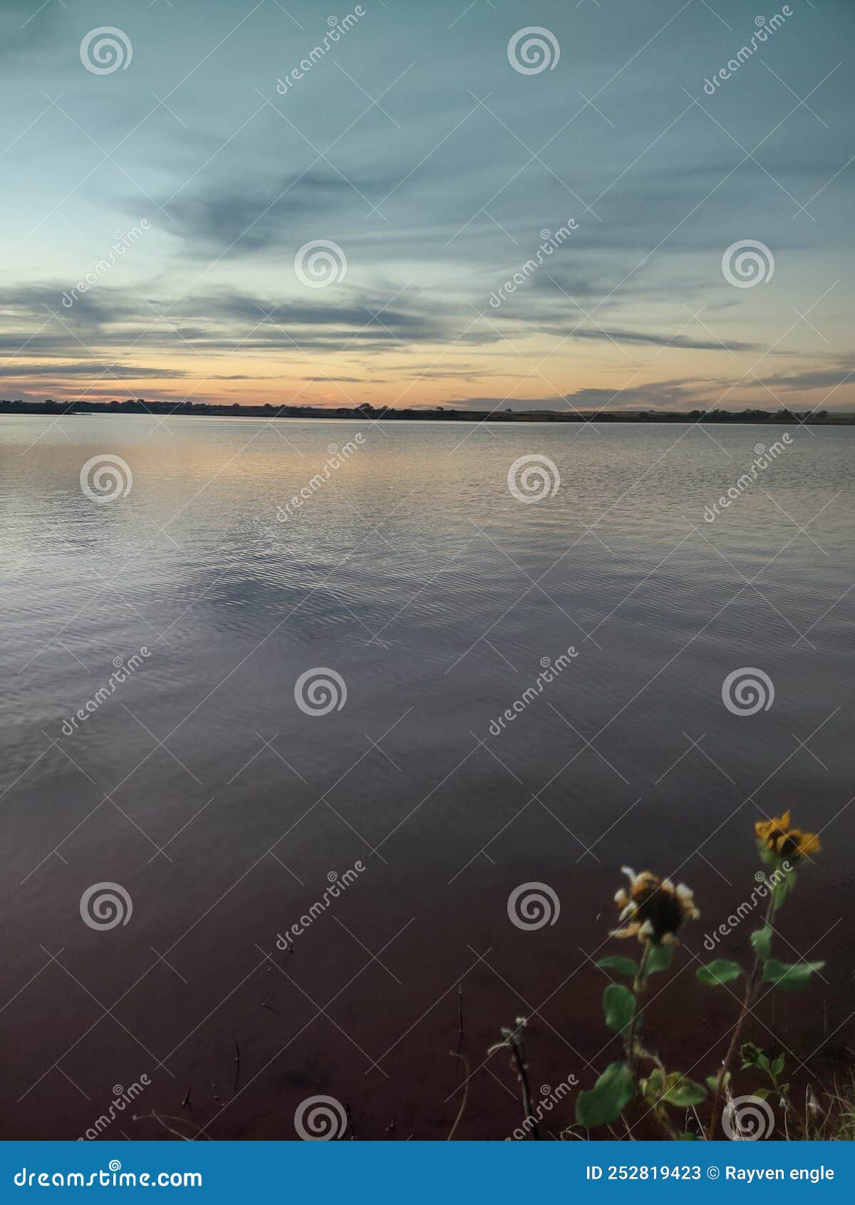 Evening at the lake stock image. Image of yellow, blue - 252819423