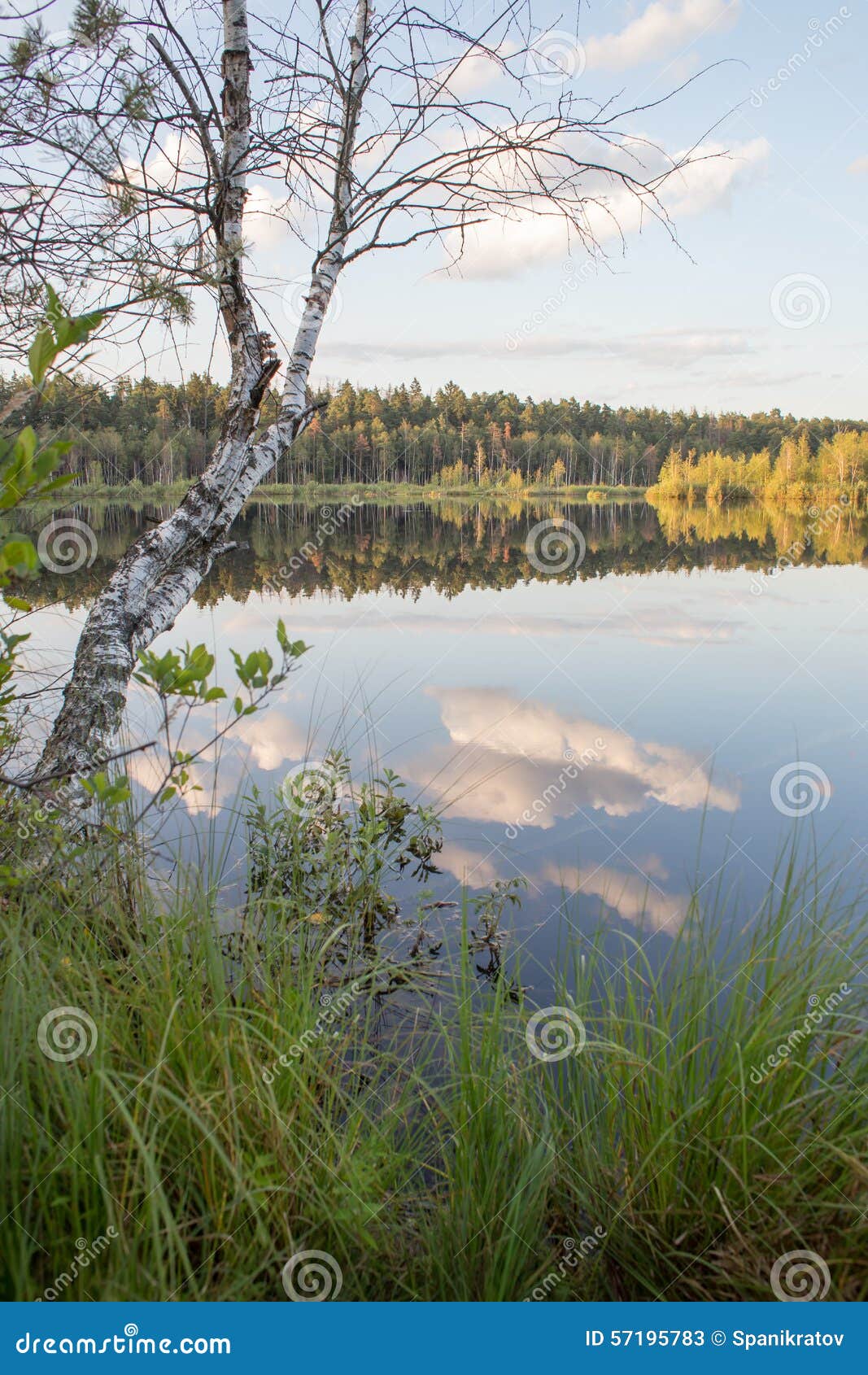 Evening lake stock image. Image of landscape, beautiful - 57195783