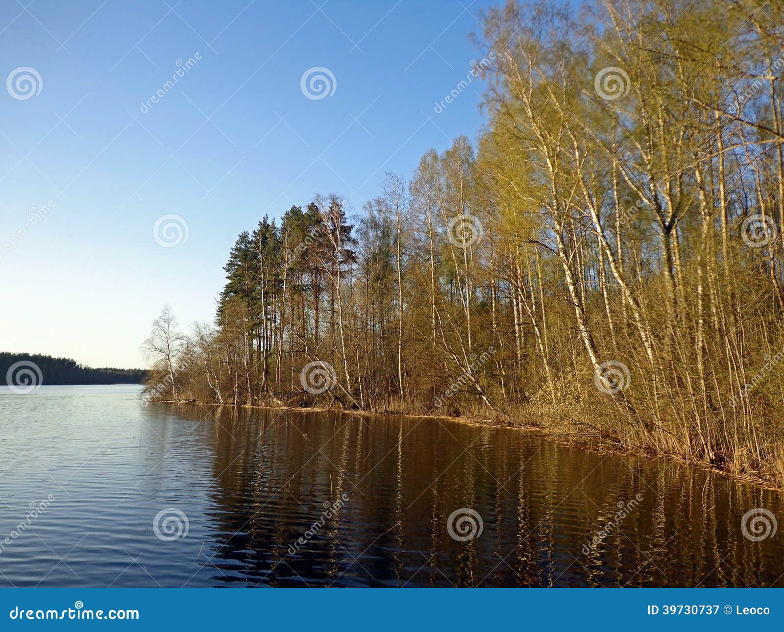 Evening lake stock image. Image of lakeside, view, bank - 39730737