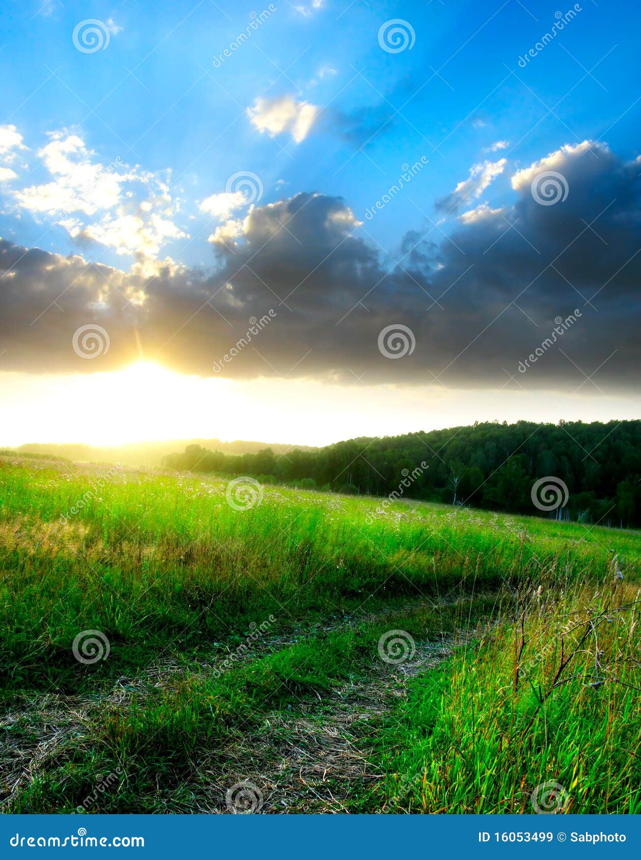 Evening landscape stock image. Image of blue, land, idyllic - 16053499
