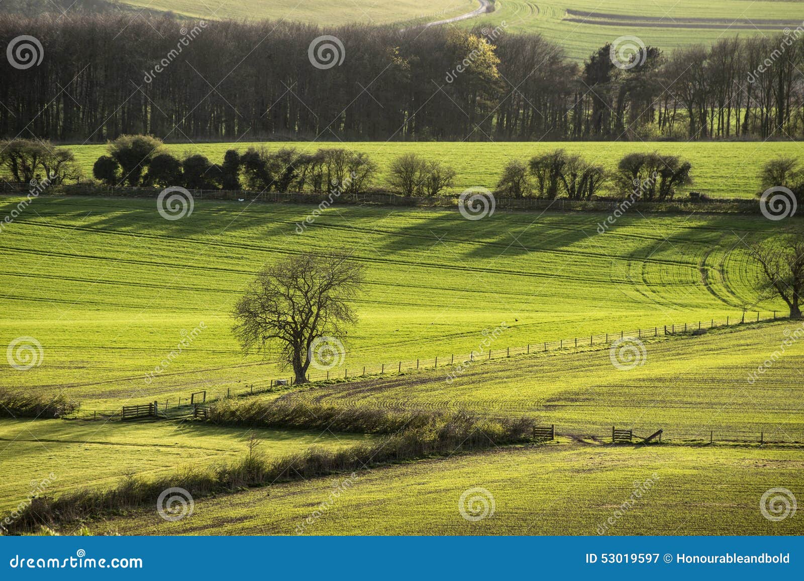 Evening Landscape of Fields in Spring with Beautiful Side Lighti Stock ...