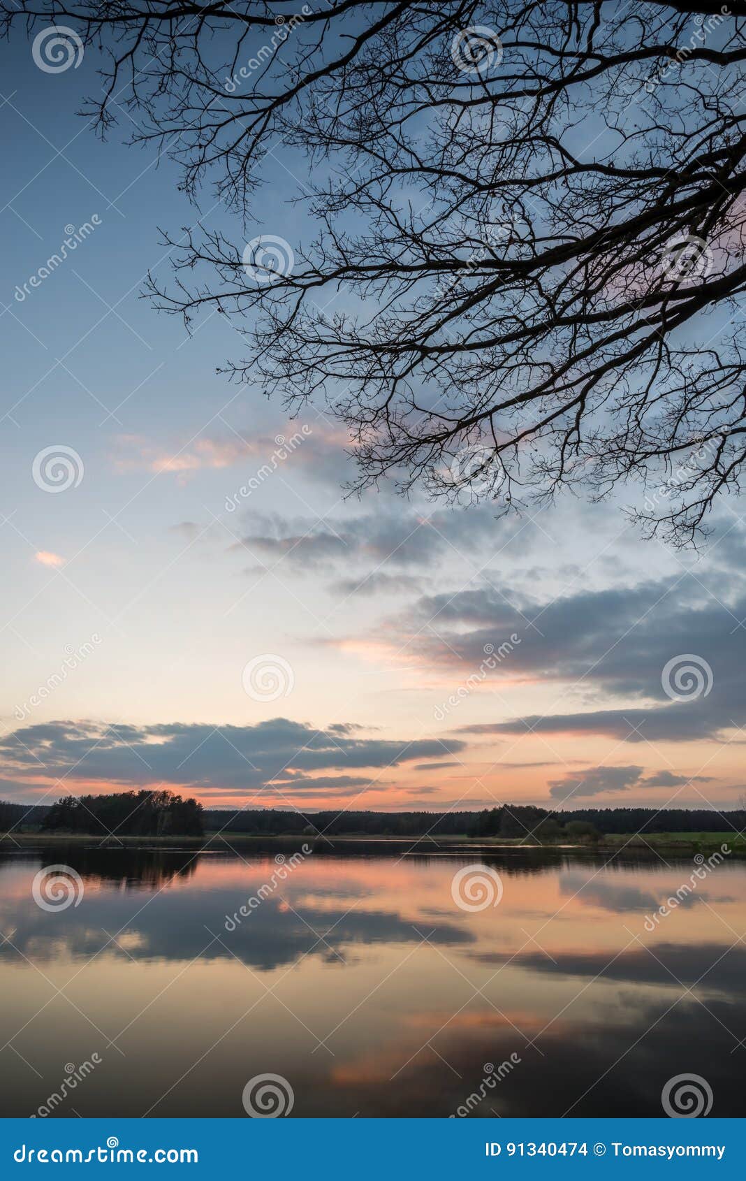 Evening Landscape Over the Pond with Few Trees and Branches Stock Photo ...