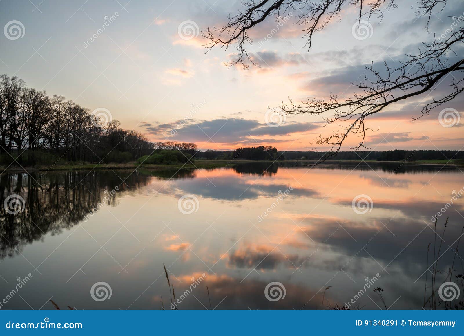 Evening Landscape Over the Pond with Several Trees Stock Image - Image ...