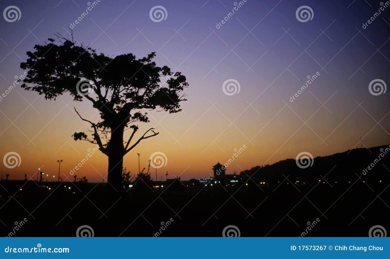 Evening landscape and tree stock image. Image of light - 17573267