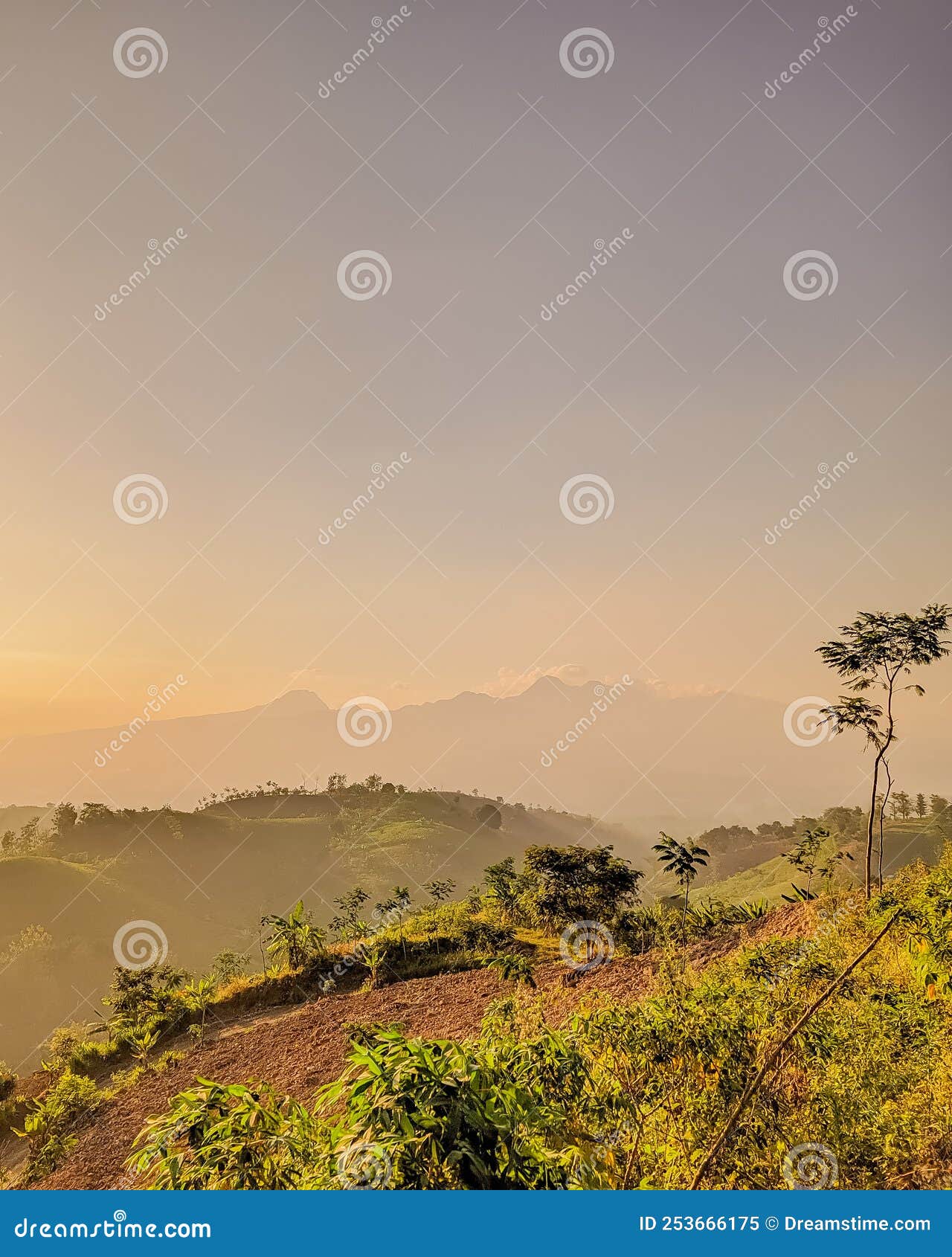 Evening light stock image. Image of evening, hill, sunset - 253666175