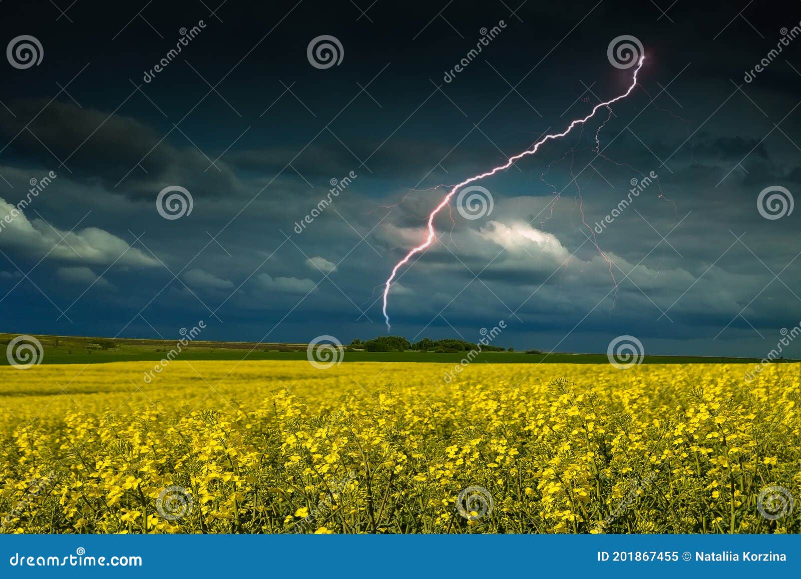 Evening Lightning in the Fields Stock Image - Image of light, rain ...