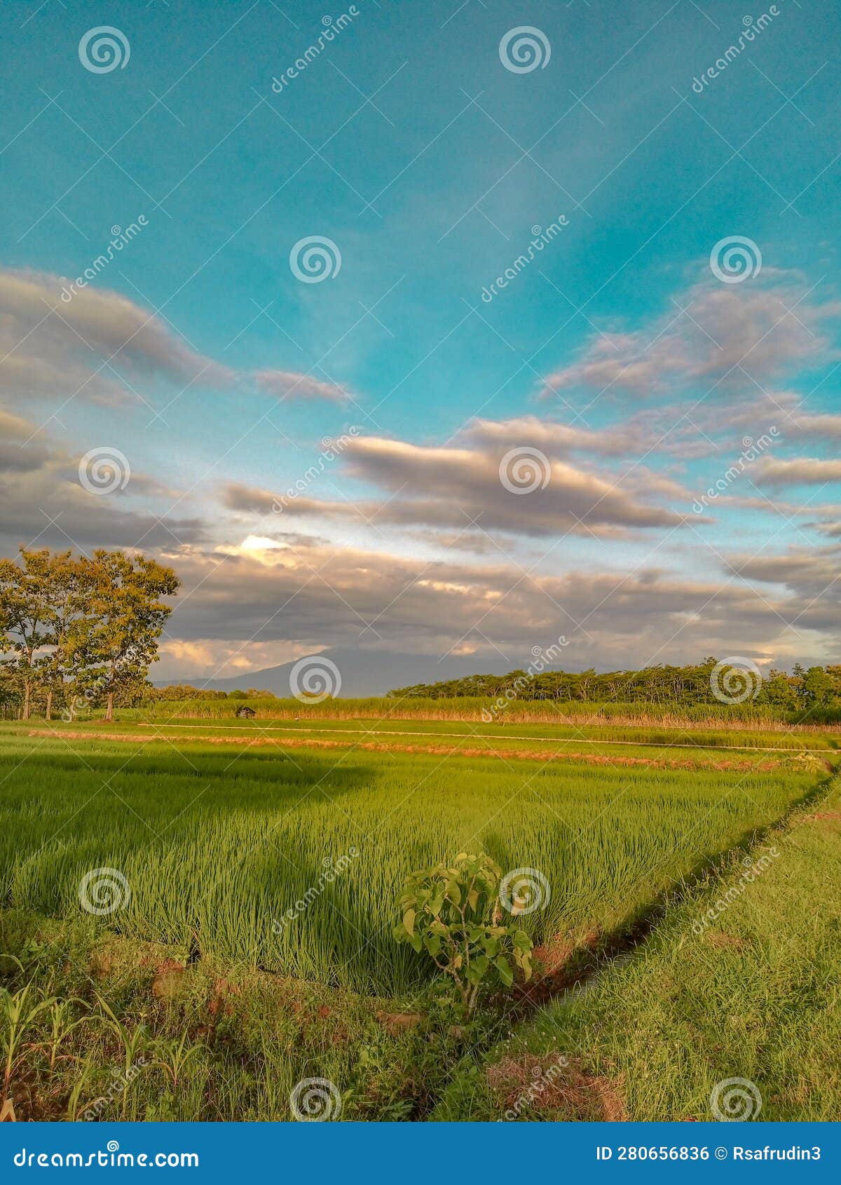 Evening Meadows and Blue Sky in the Village Stock Photo - Image of blue ...