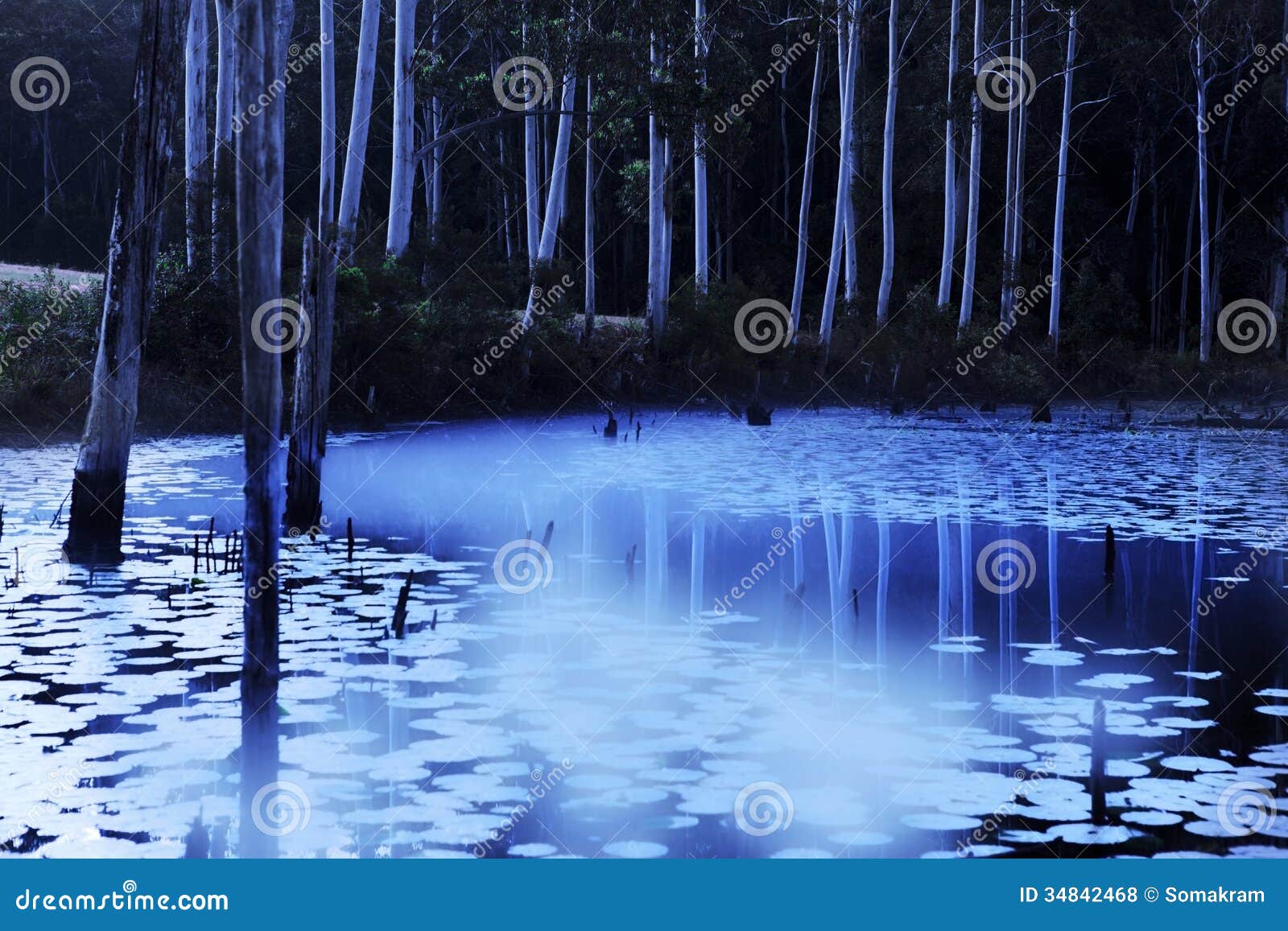 Evening Mist on Pond stock photo. Image of nature, mystical - 34842468