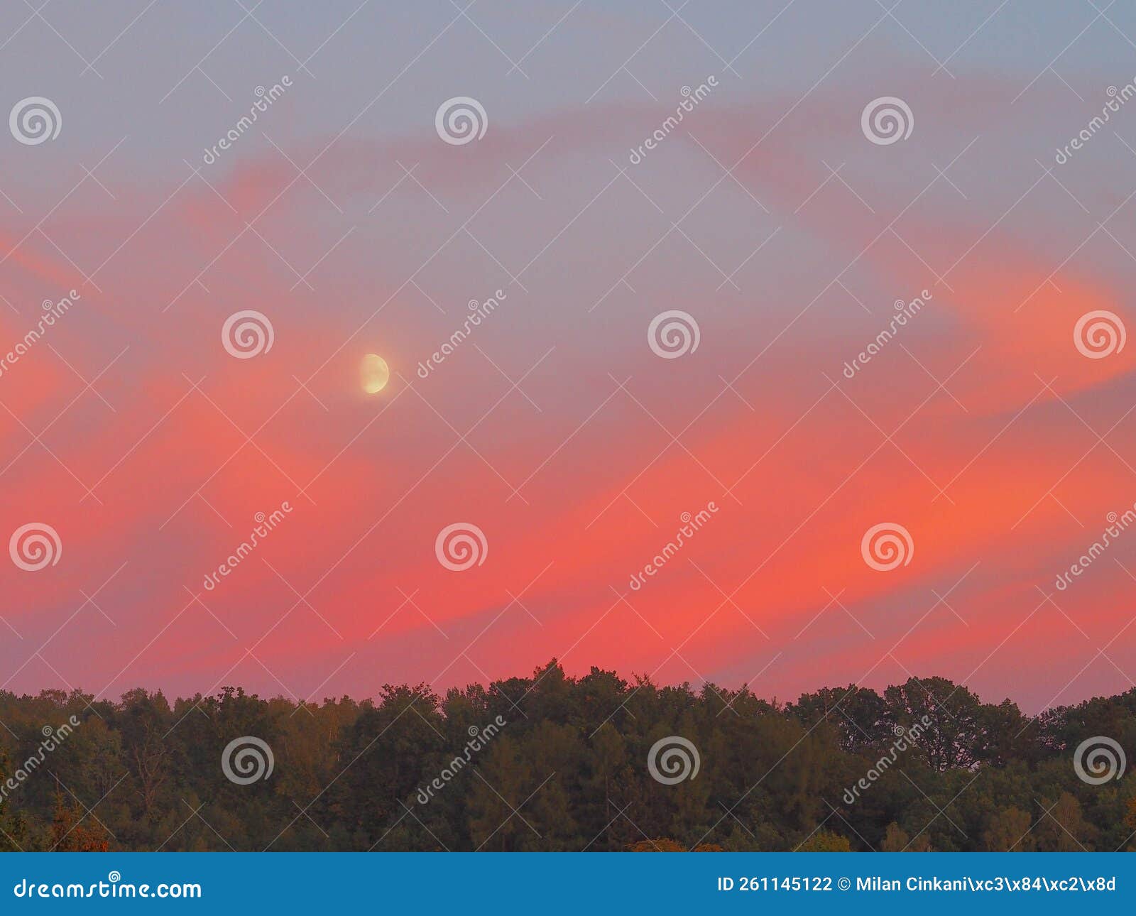 Evening moon stock photo. Image of scenic, sunlight - 261145122