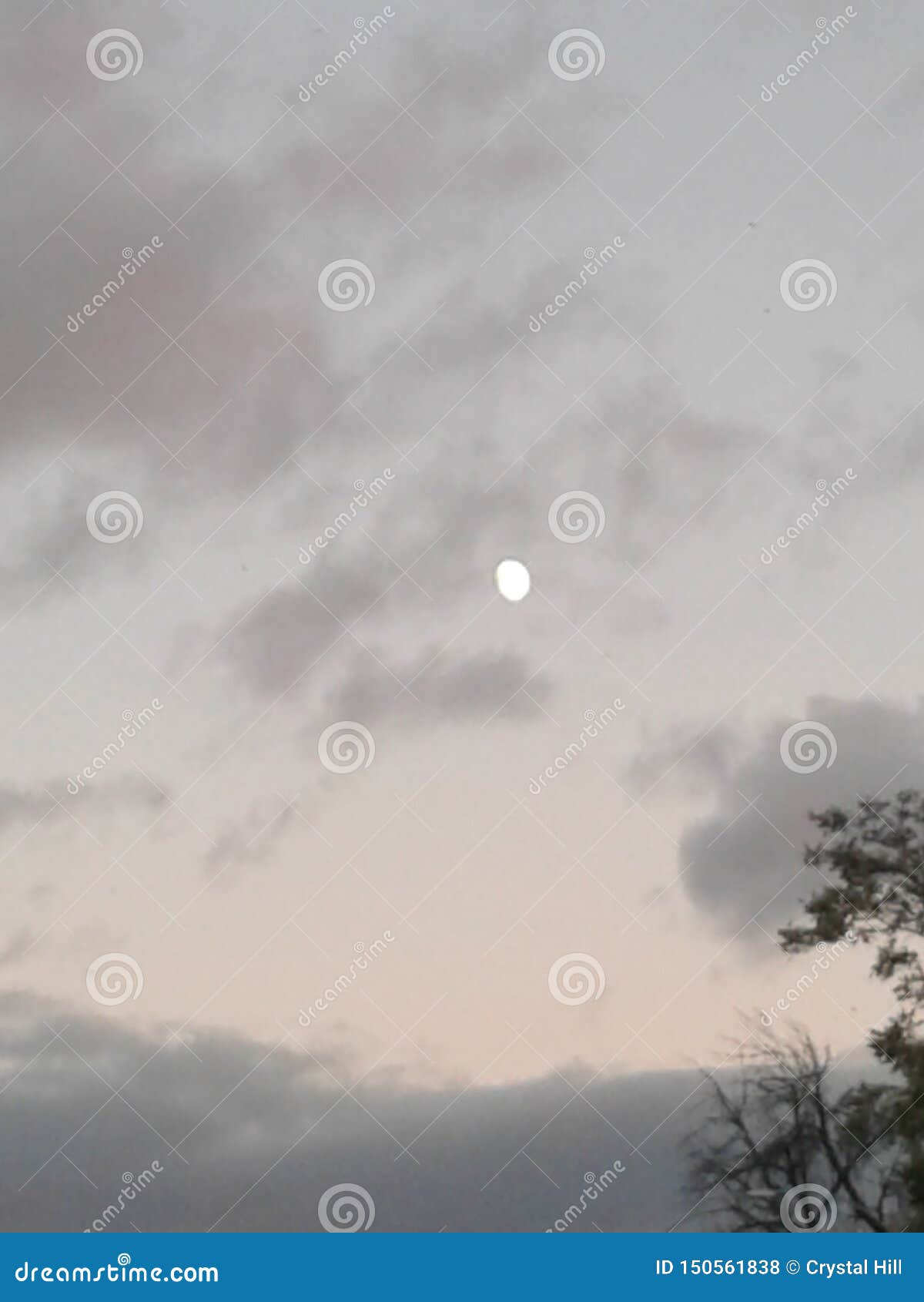 The evening moon stock photo. Image of moon, evenings - 150561838