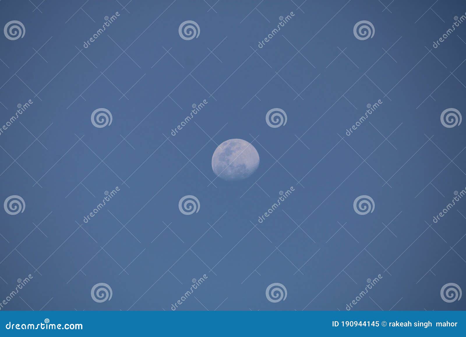 In The Evening,the Moon Playing With Eyeball Behind The Tree Royalty ...