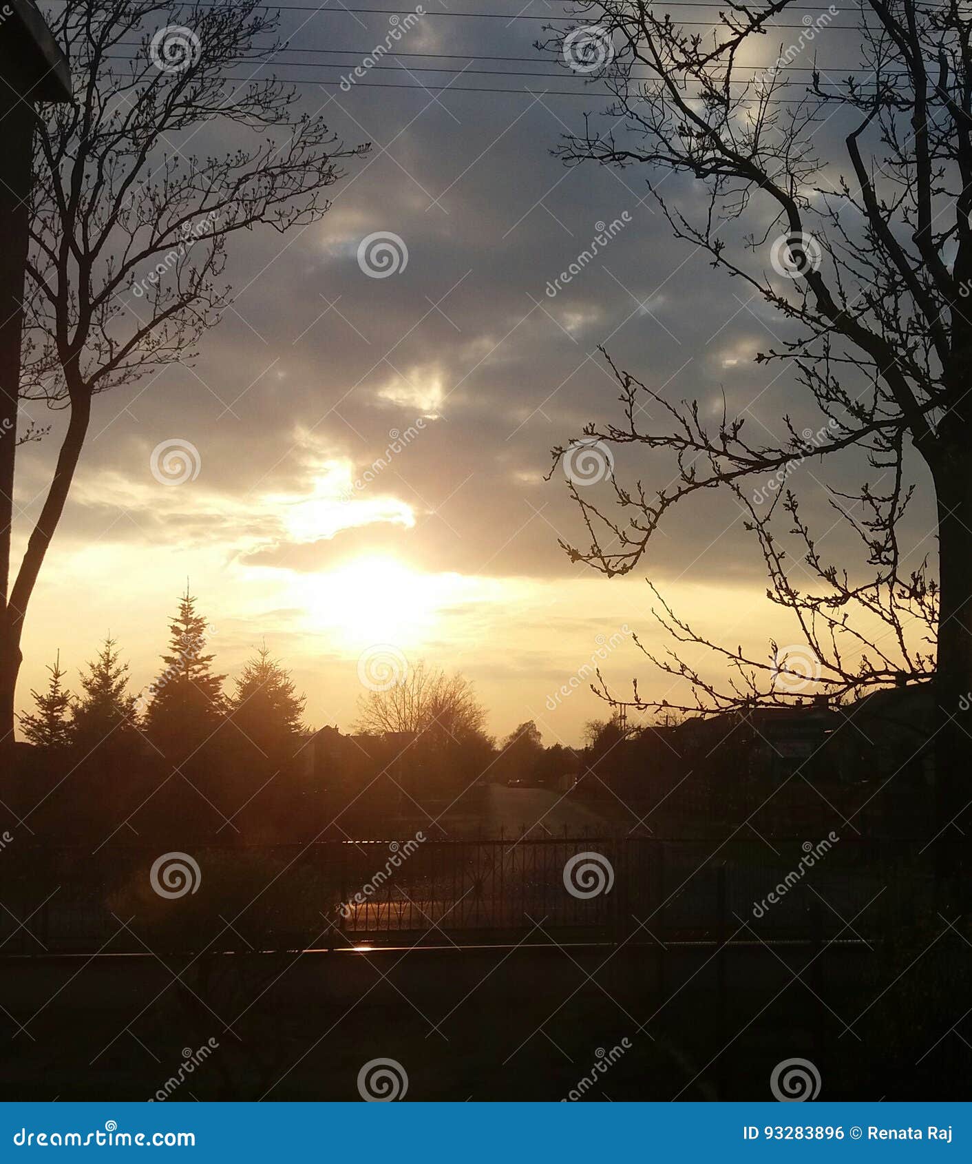 Evening editorial photo. Image of outside, evening, delight - 93283896