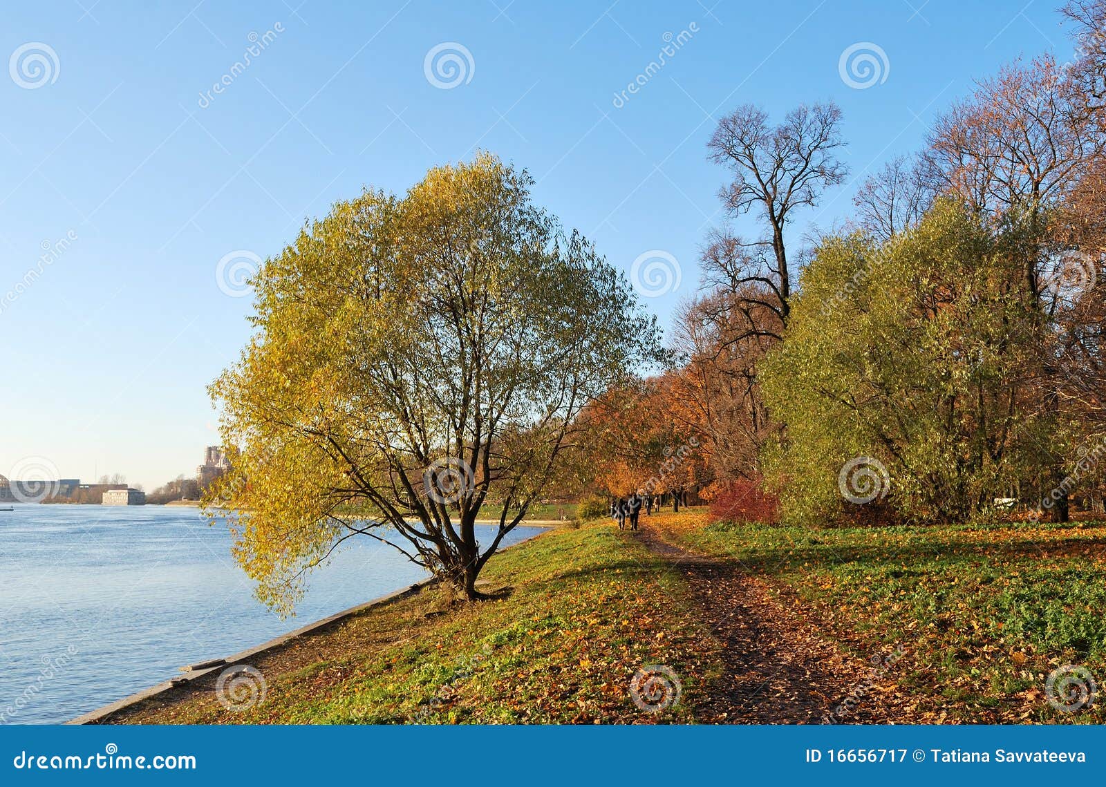 Evening in the park stock image. Image of beauty, golden - 16656717