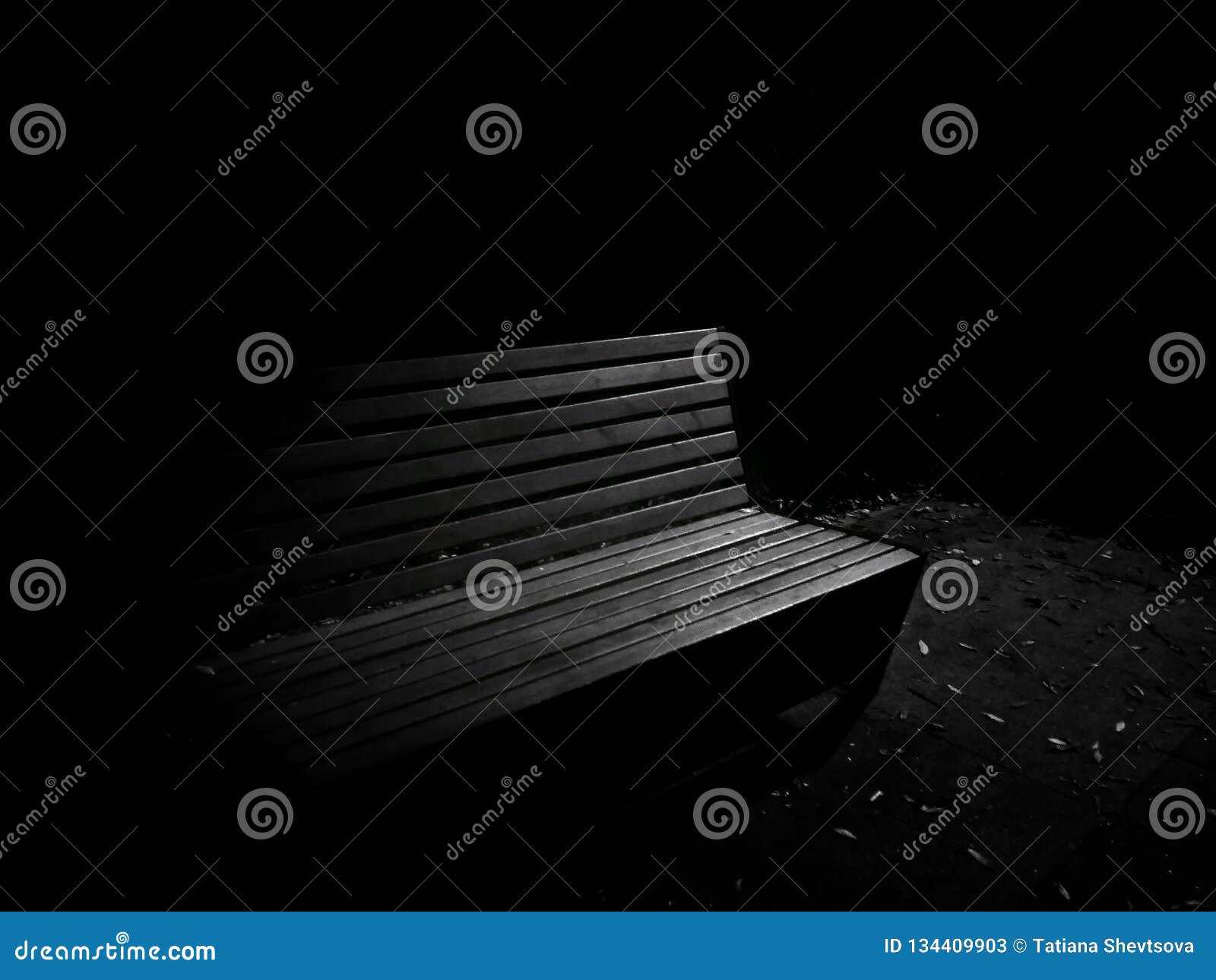Evening, park, bench stock image. Image of blackandwhitephotography ...