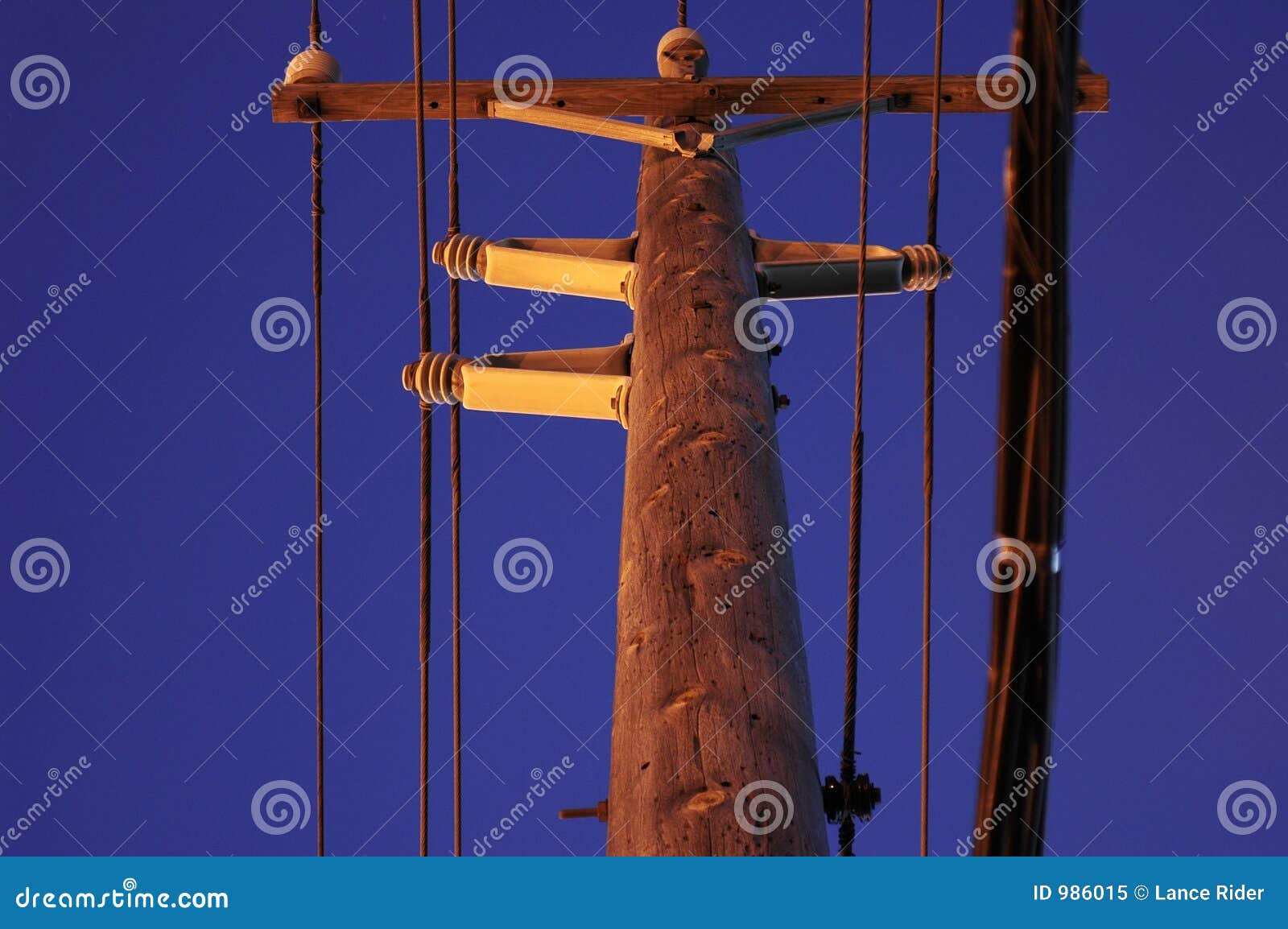 Evening Phone Call Picture. Image: 986015