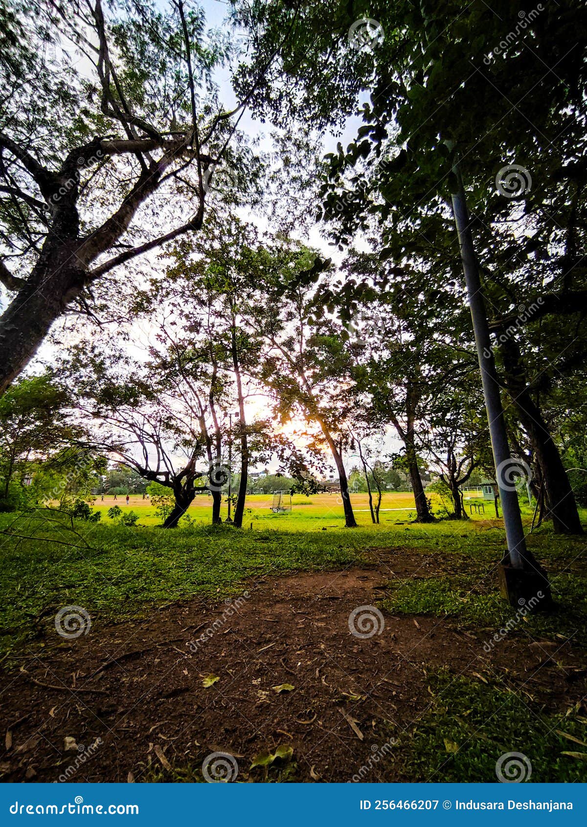 Evening at Playground Srilanka Stock Image - Image of srilanka, park ...