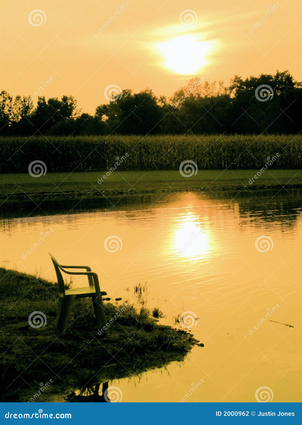 Evening by a Pond stock photo. Image of forest, water - 2000962