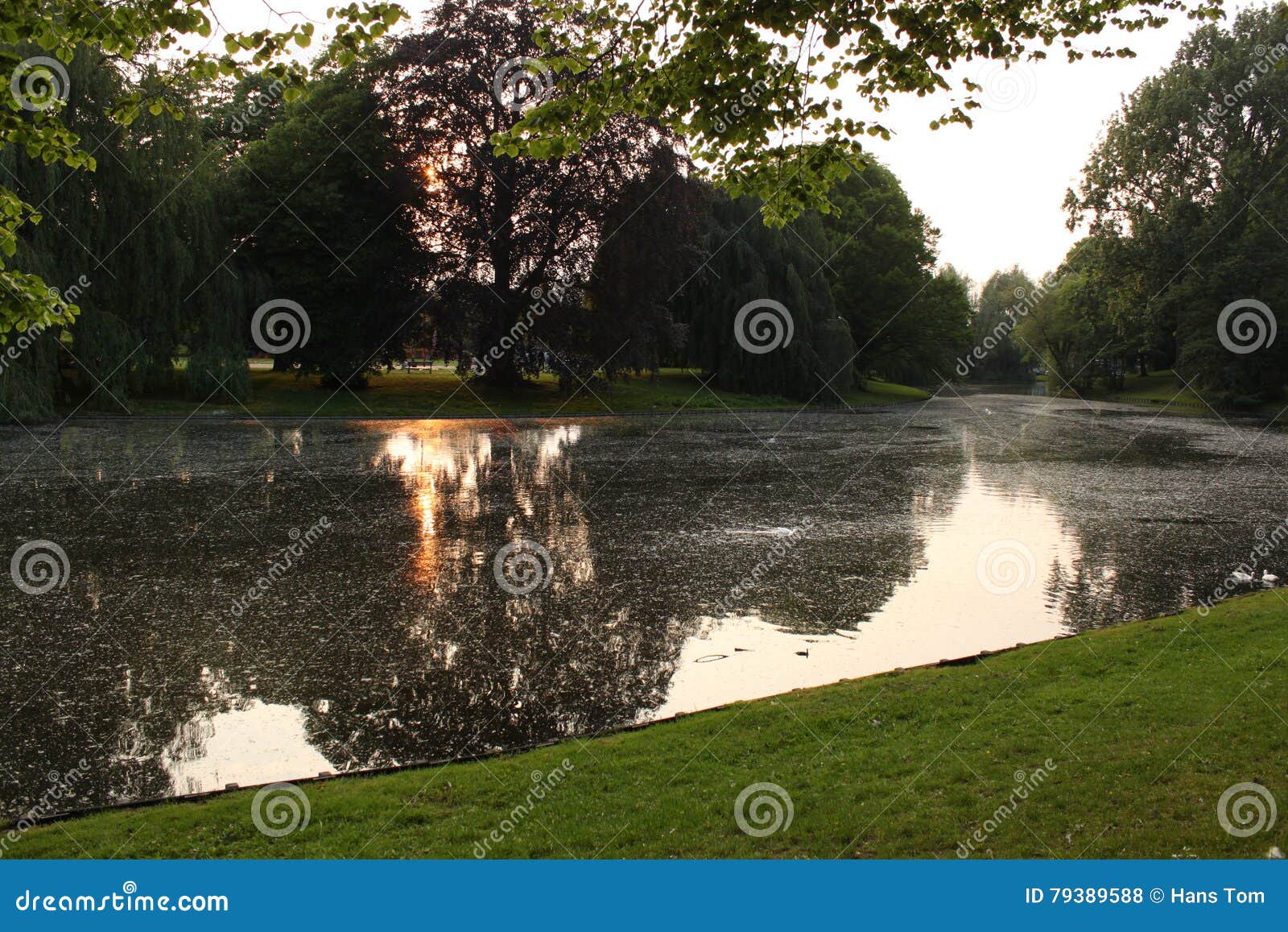 Evening at the Pond in the Park Stock Photo - Image of reflection, warm ...