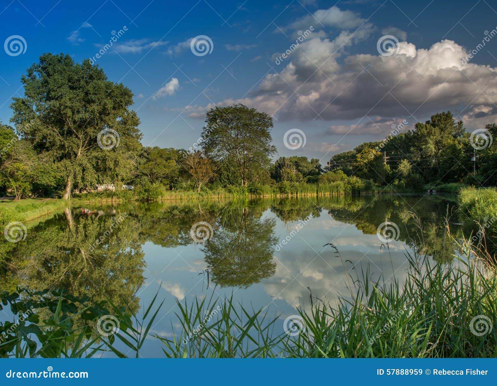 Evening Pond Reflection stock image. Image of season - 57888959