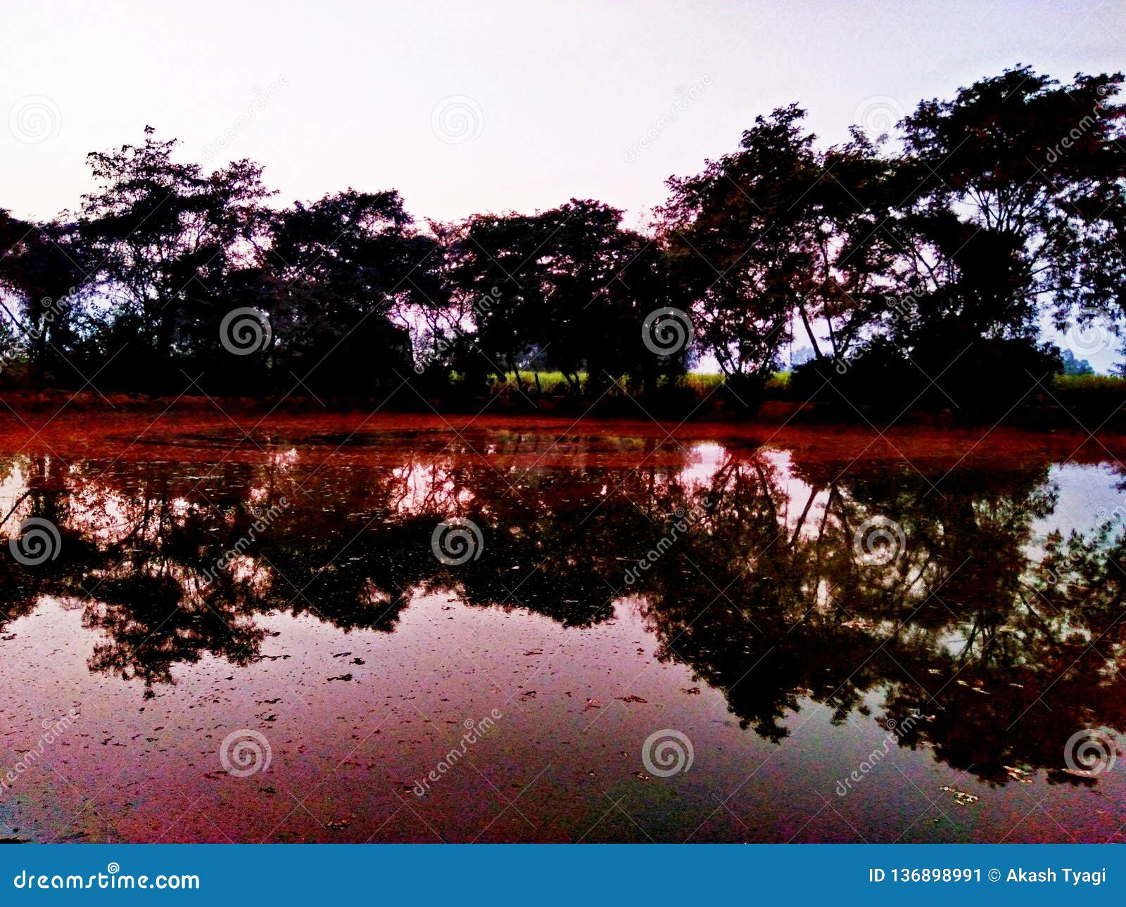 Evening stock image. Image of water, ponds, evening - 136898991