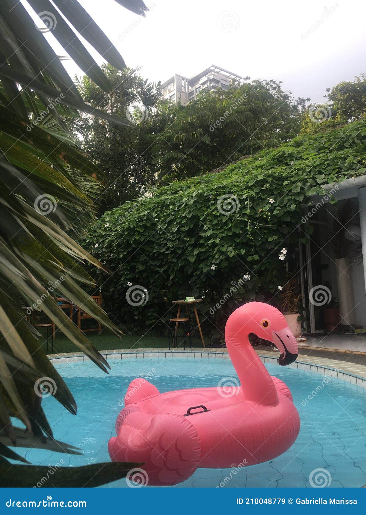 Pool vibes stock image. Image of vibes, evening, pool - 210048779