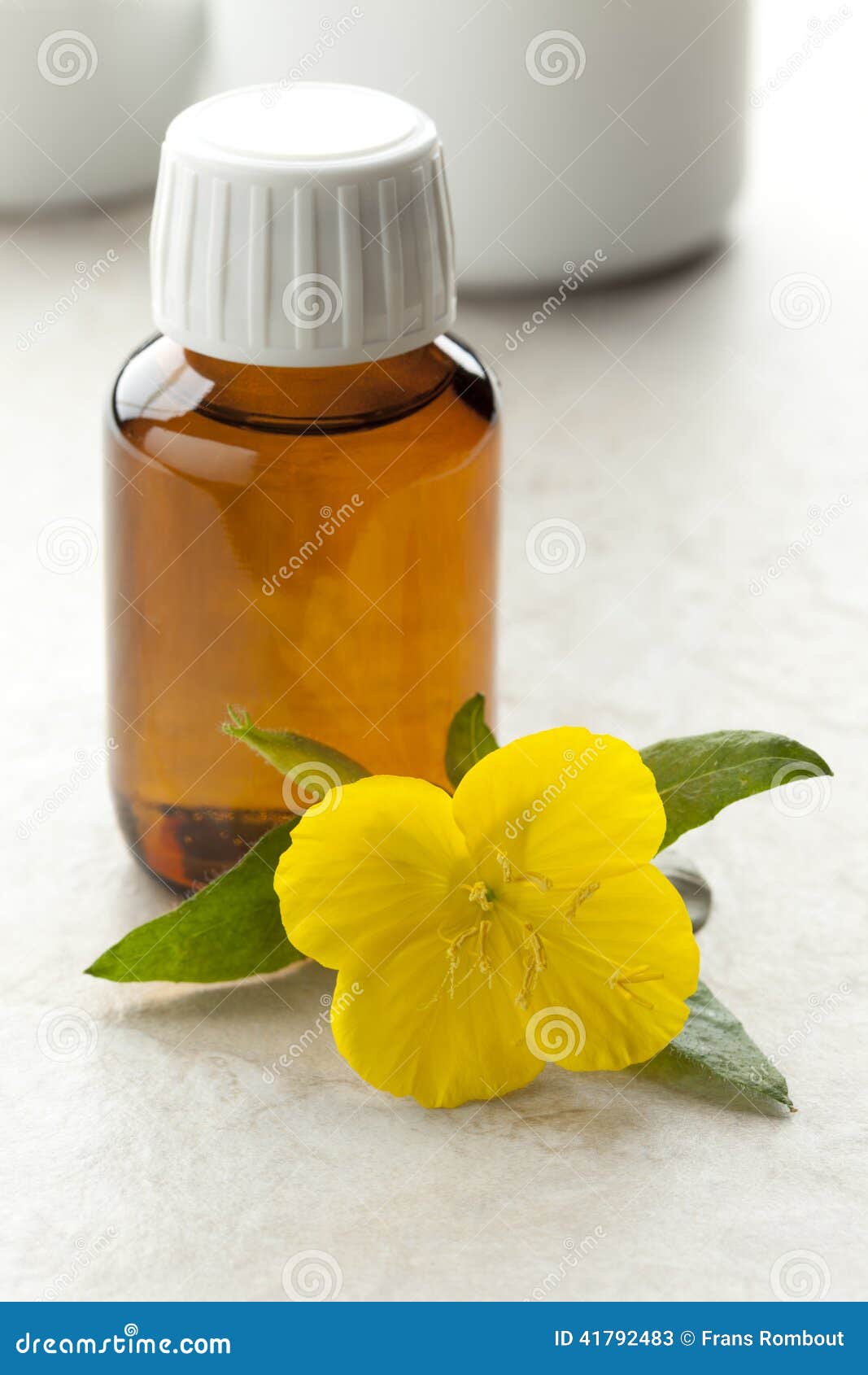 Evening Primrose oil stock image. Image of herbal, herb - 41792483