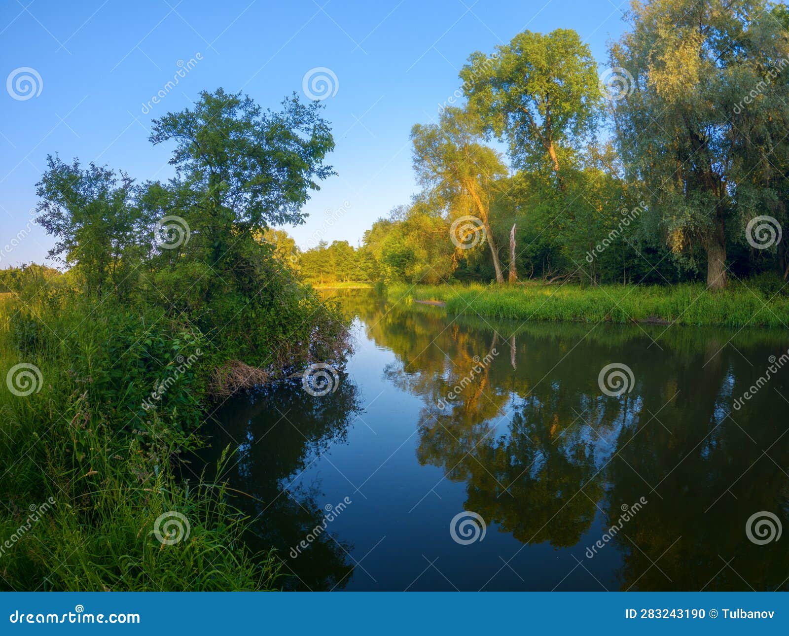 Evening on the river bank stock photo. Image of nature - 283243190